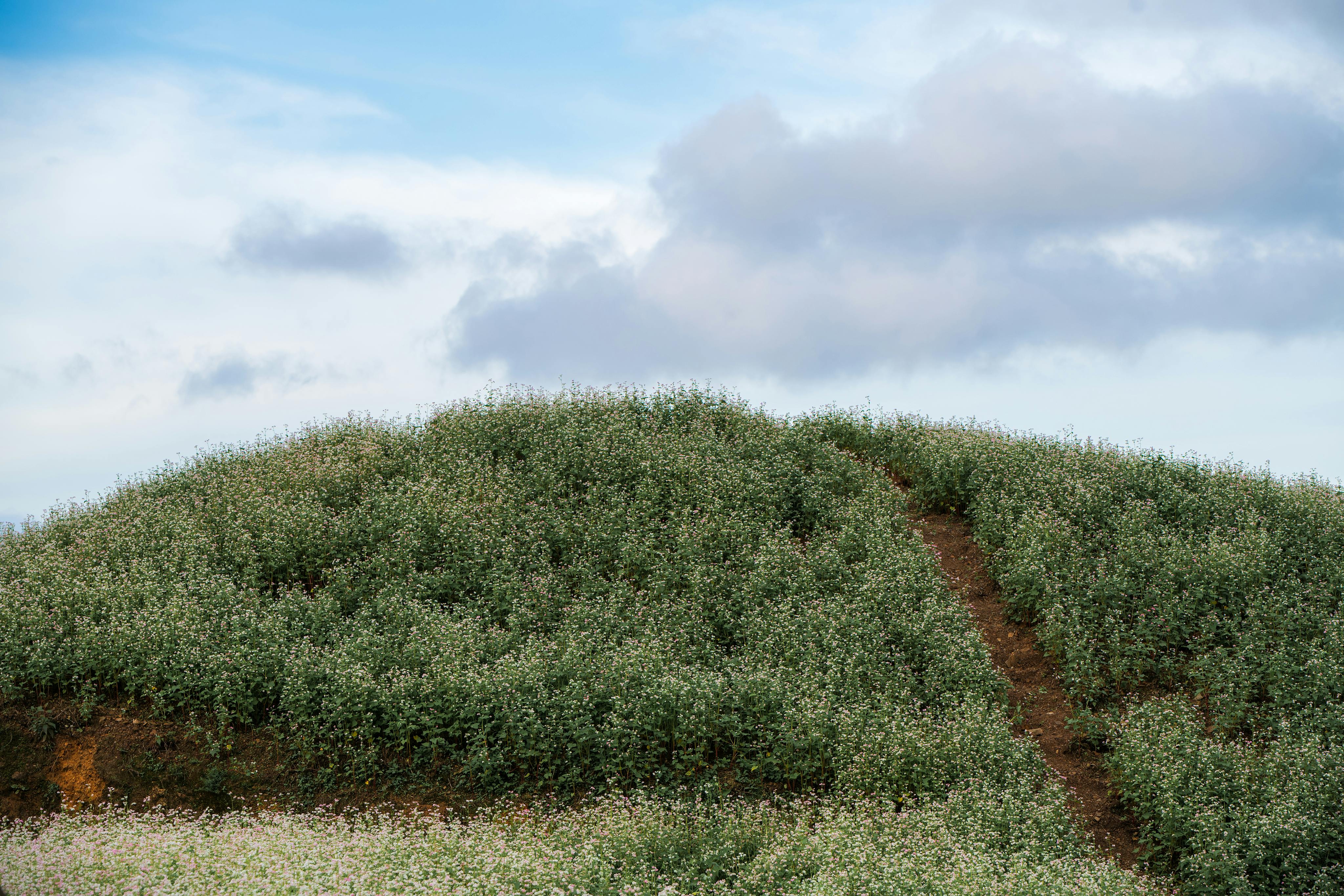 Simple Landscape Photos, Download The BEST Free Simple Landscape Stock ...