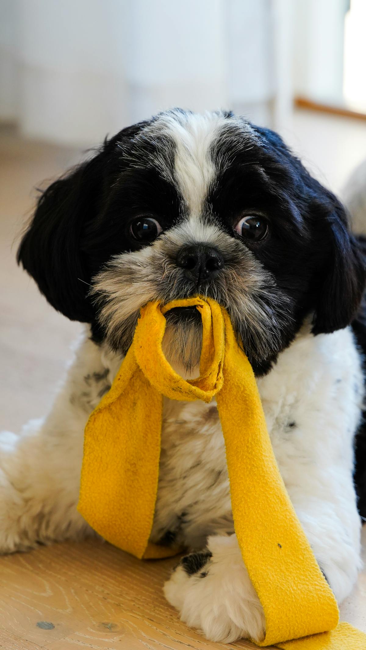 10k+Robux+Picture Photos, Download The BEST Free 10k+Robux+Picture ...