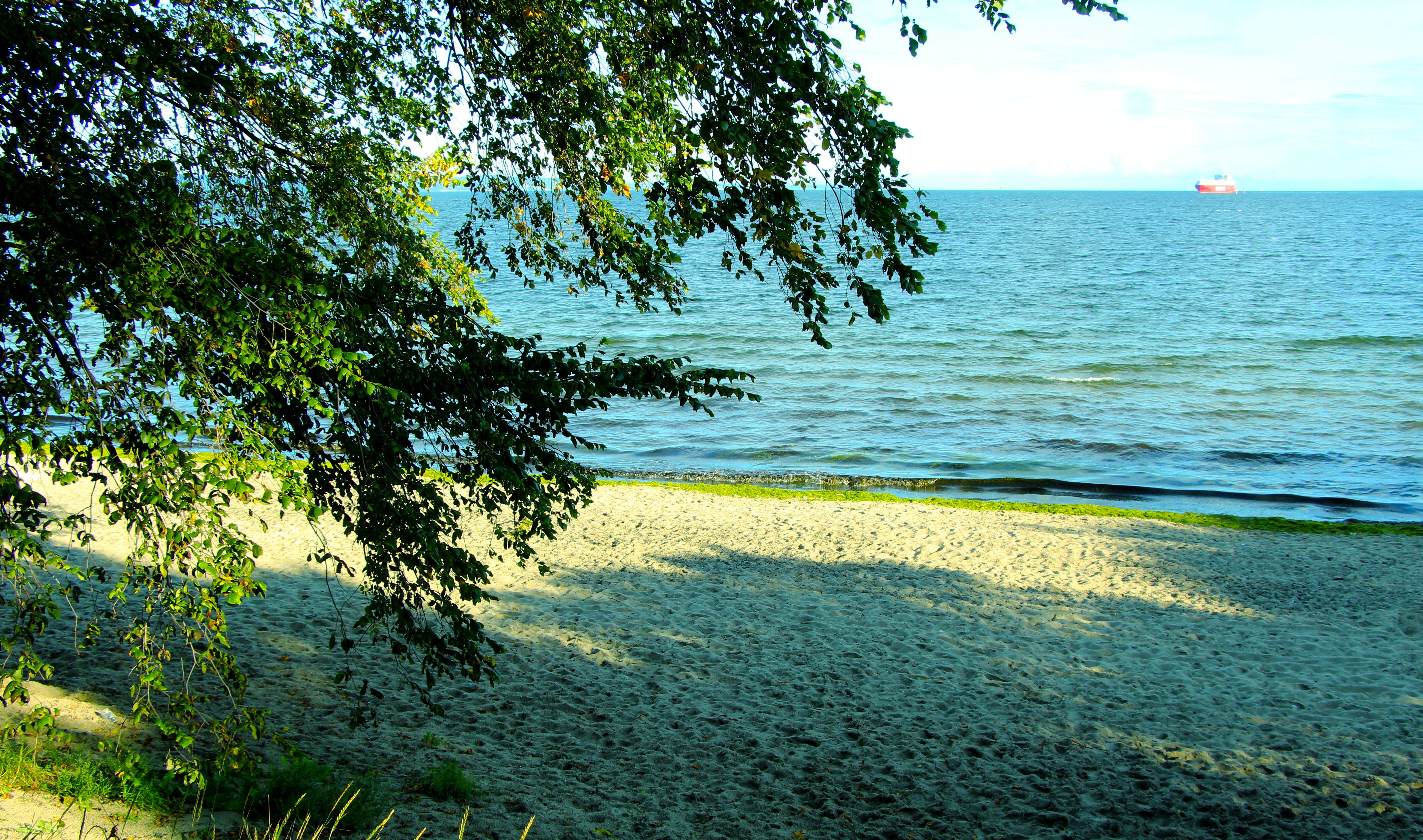 Natural Beach Photos, Download The BEST Free Natural Beach Stock Photos ...