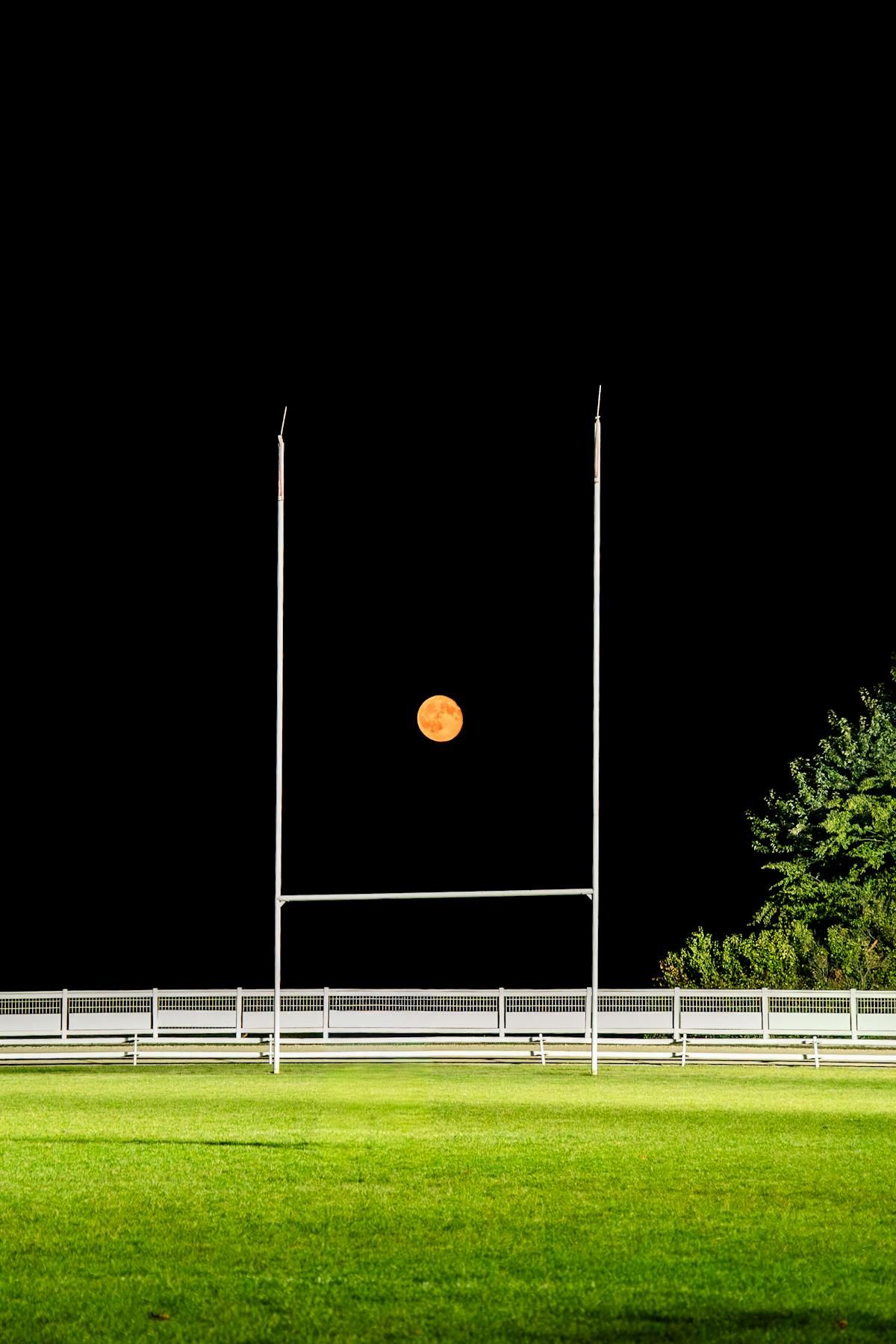 Sunny+Leone+Sexy+Bf+Full+Hd Photos, Download The BEST Free Sunny+Leone ...