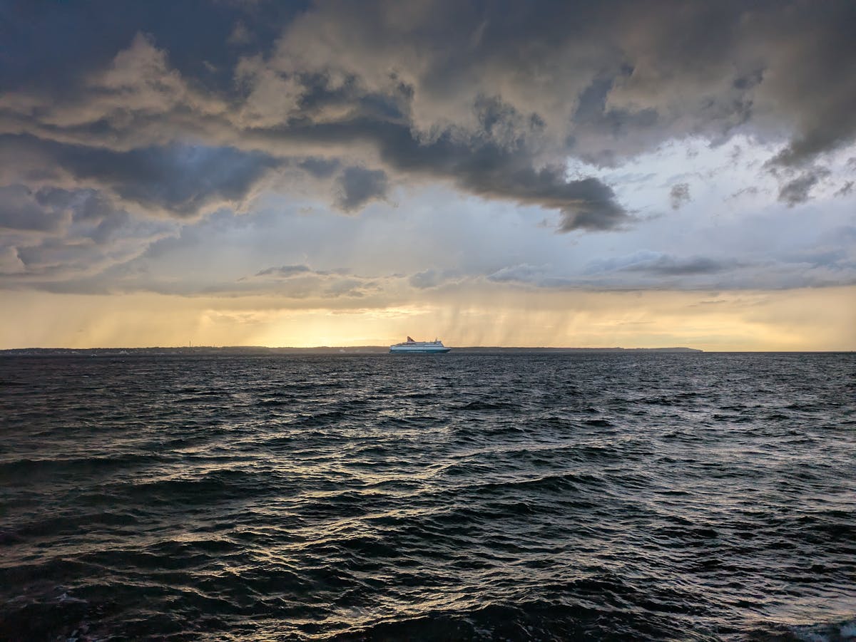 Sophie+Rain+Pics+Free Photos, Download The BEST Free Sophie+Rain+Pics ...