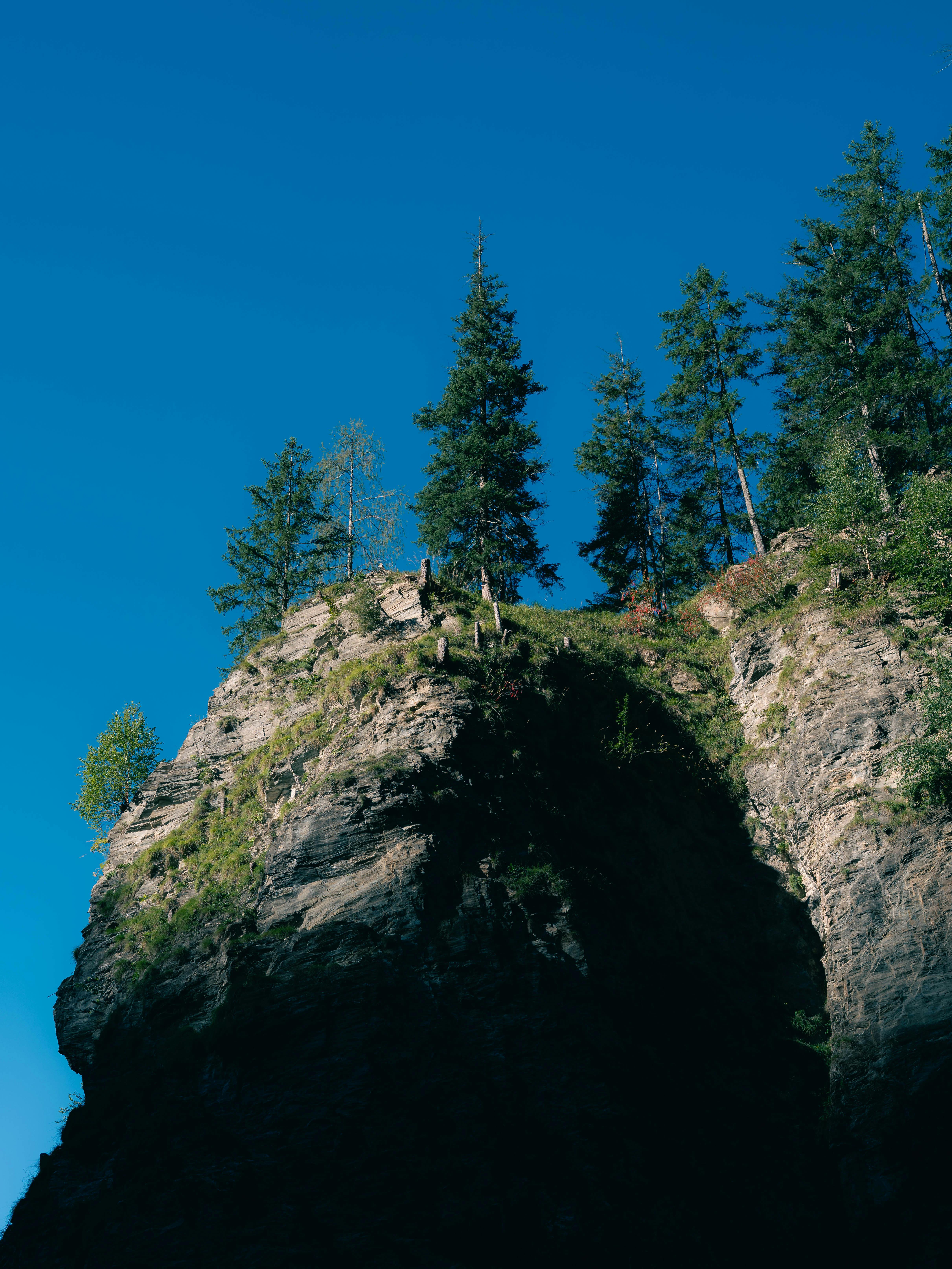 Stunning Cliffside with Evergreen Trees Under Blue Sky · Free Stock Photo