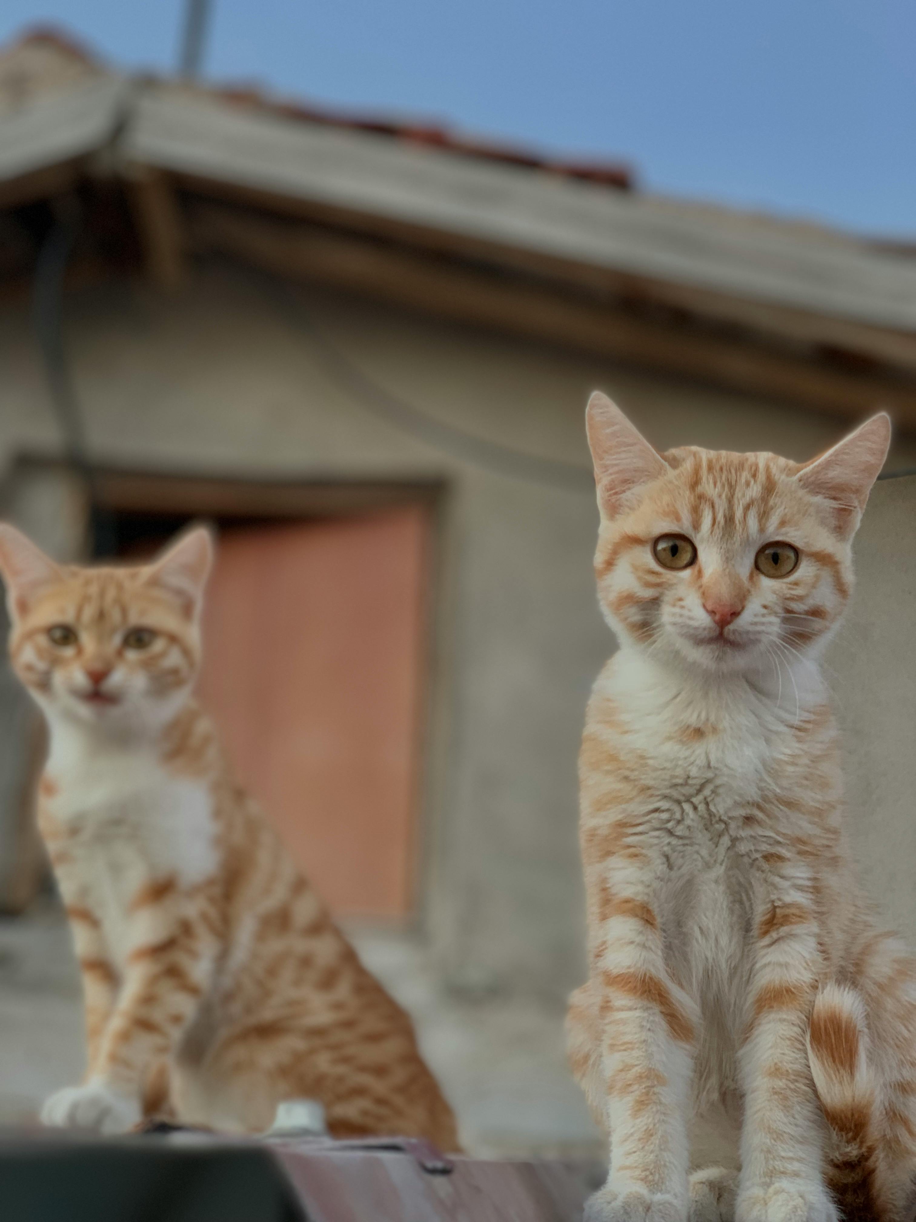 Naomi+And+Sergei+Duo+Pictures Photos, Download The BEST Free Naomi+And ...