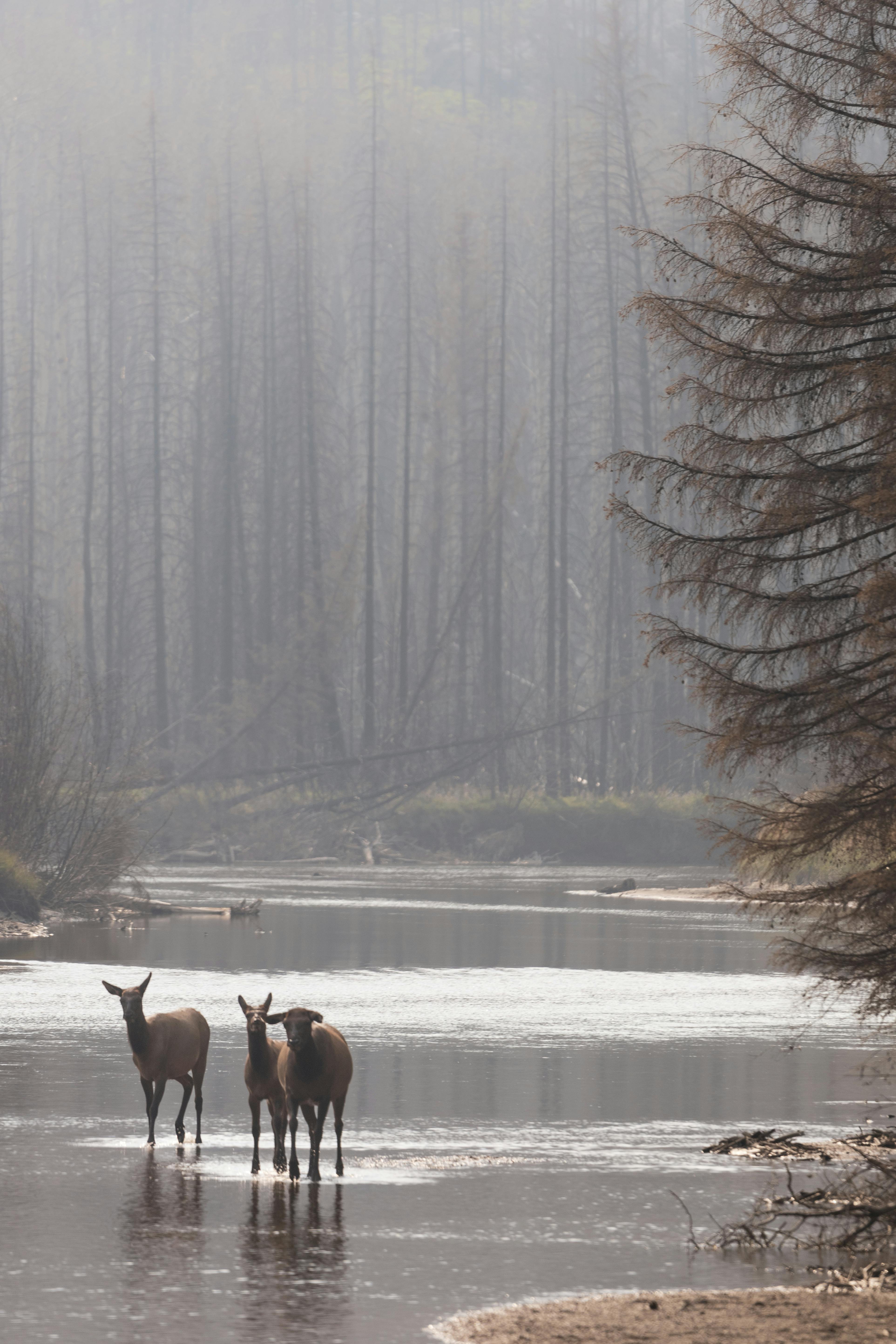 Environmental Conservation Photos, Download The BEST Free Environmental ...