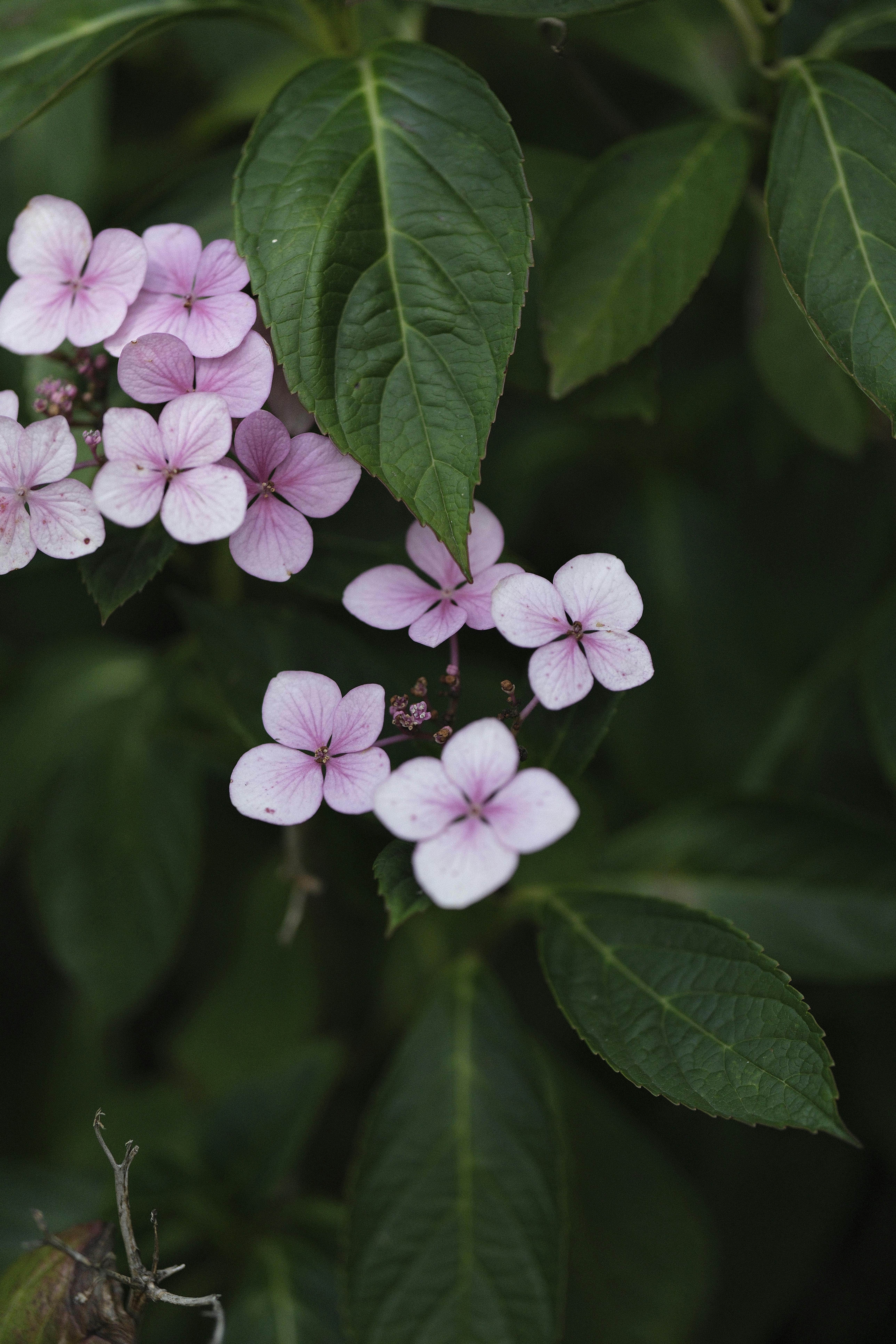 Welcome+To+Ptm+Image Photos, Download The BEST Free Welcome+To+Ptm ...