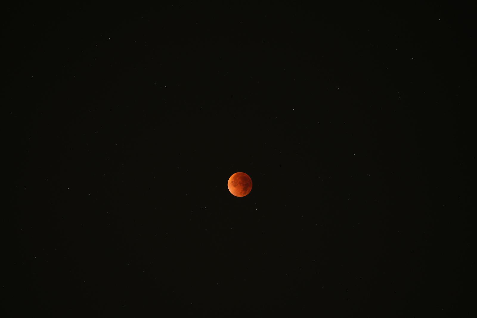 1,000+ Best Eclipse Photos · 100% Free Download · Pexels Stock Photos