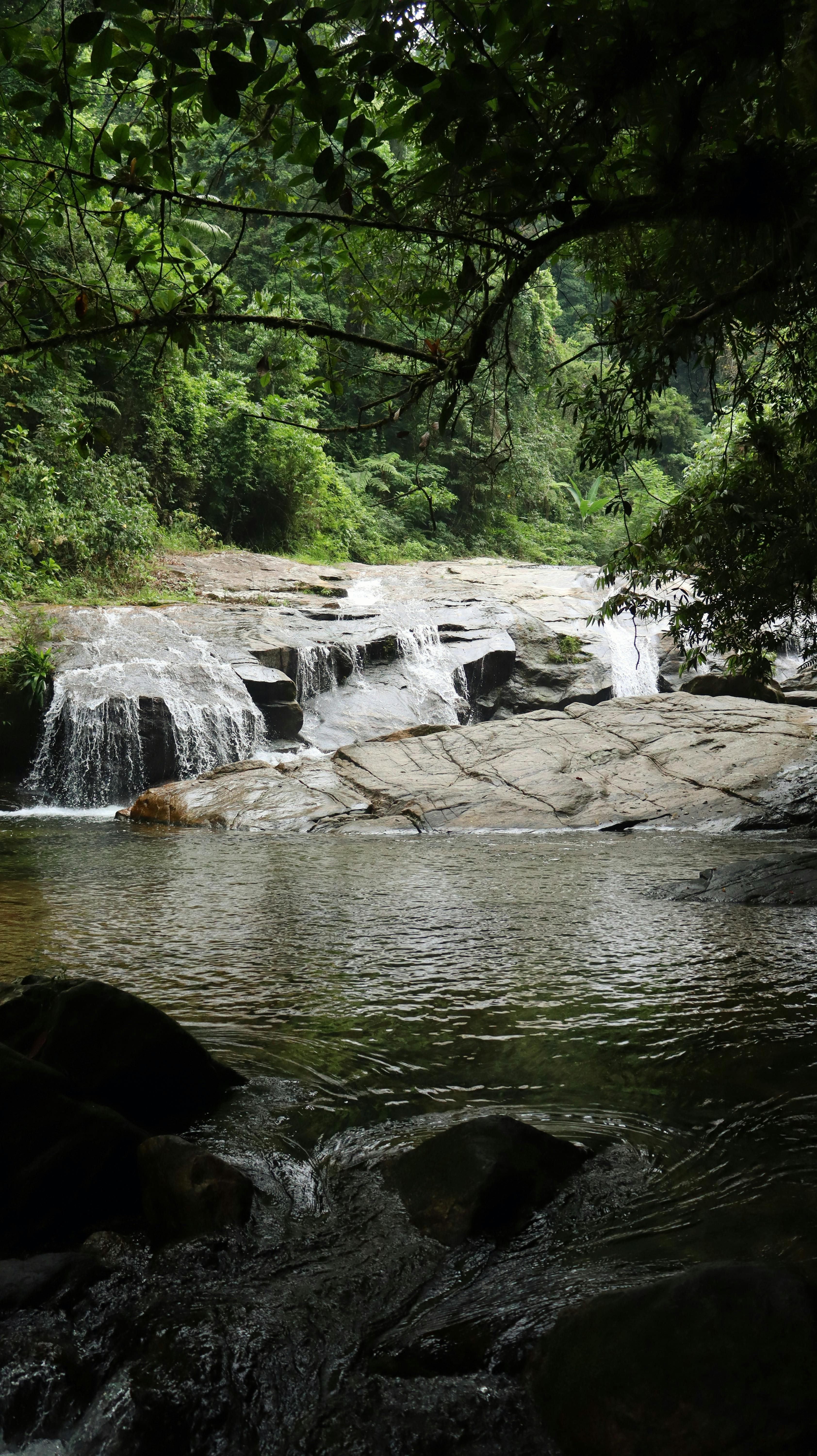 Petualang Menjelajahi Air Terjun Yang Subur · Foto Stok Gratis