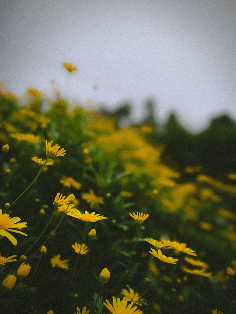 Gif Background Photos, Download The BEST Free Gif Background Stock ...