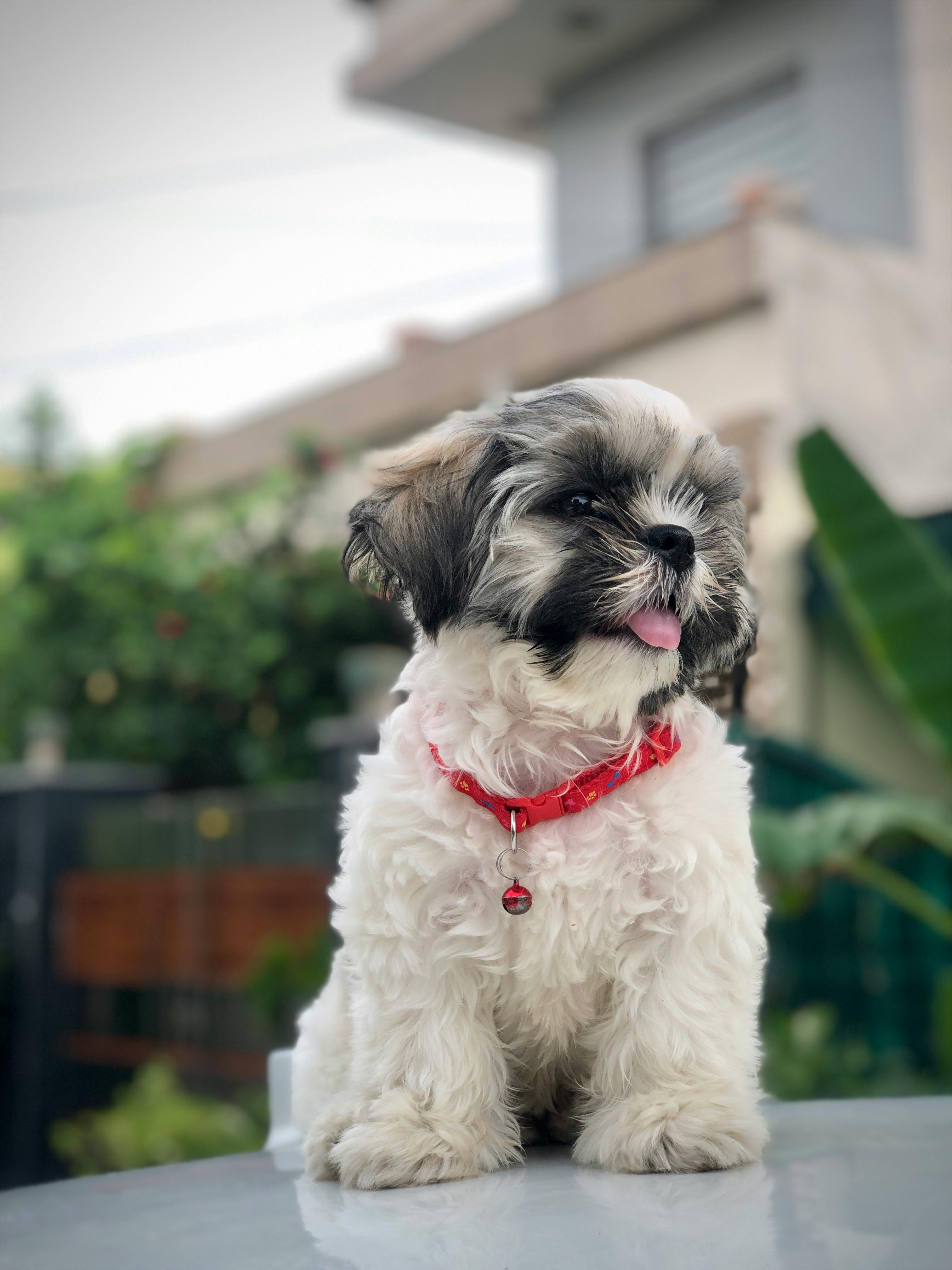 Cute+Boy+Jakol+Pinoy Photos, Download The BEST Free Cute+Boy+Jakol ...