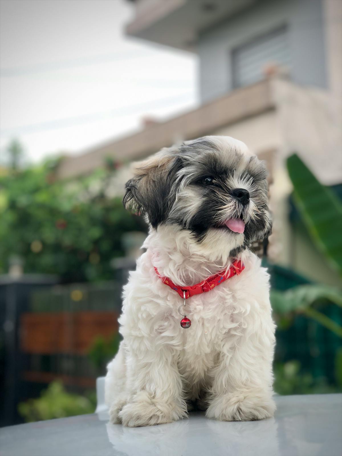 Scroller+Girls+Small+Size+Hd Photos, Download The BEST Free Scroller ...