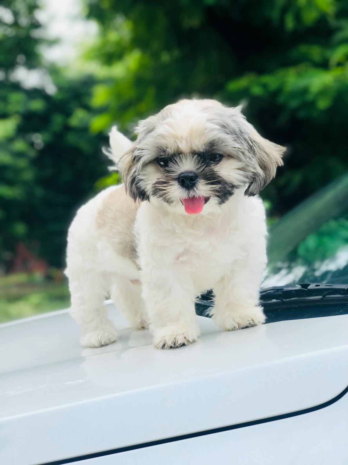 Scroller+Girls+Small+Size+Hd Photos, Download The BEST Free Scroller ...