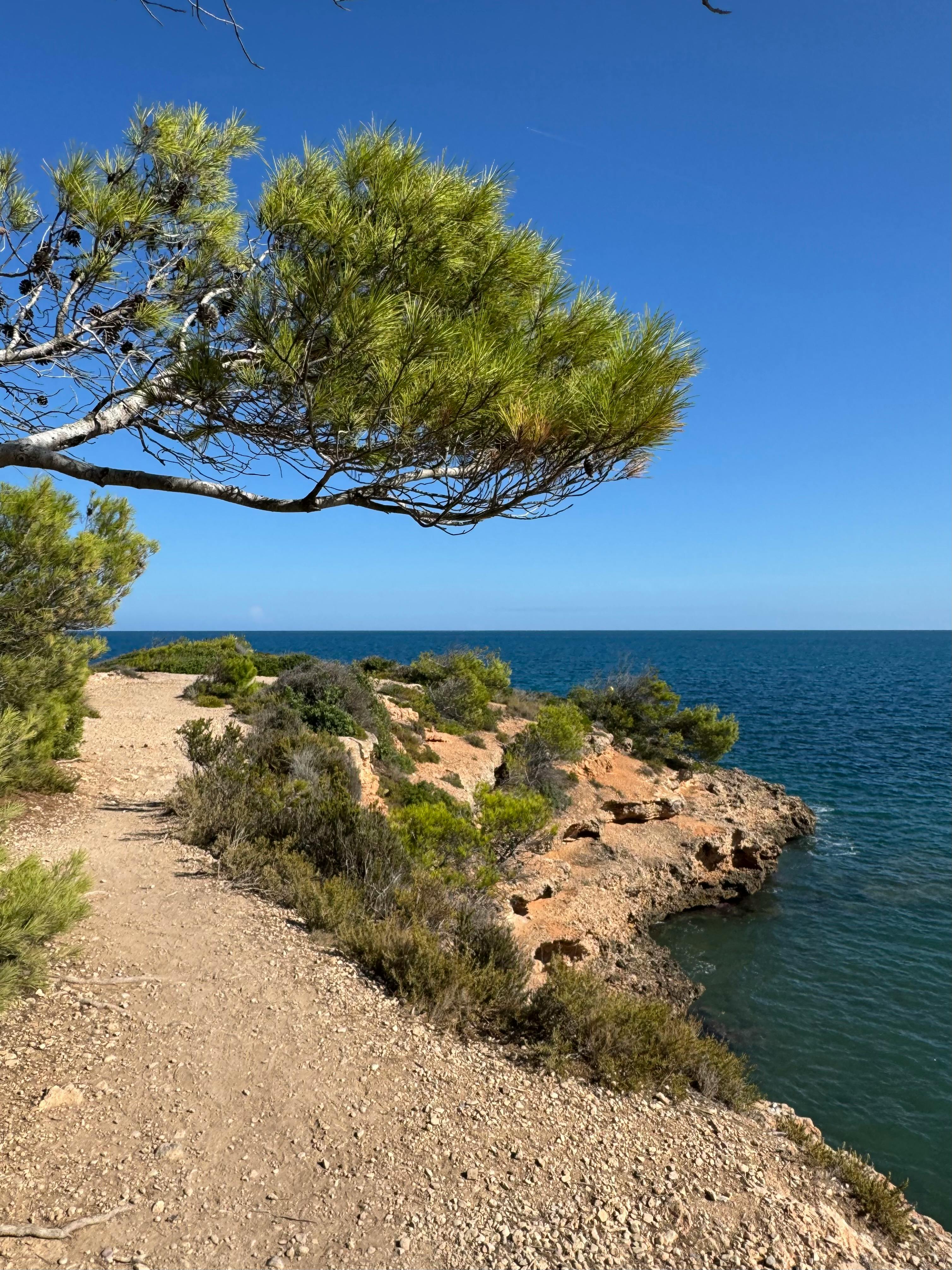 Short+Skirts+On+A+Windy+Day+No+Panties Photos, Download The BEST Free ...