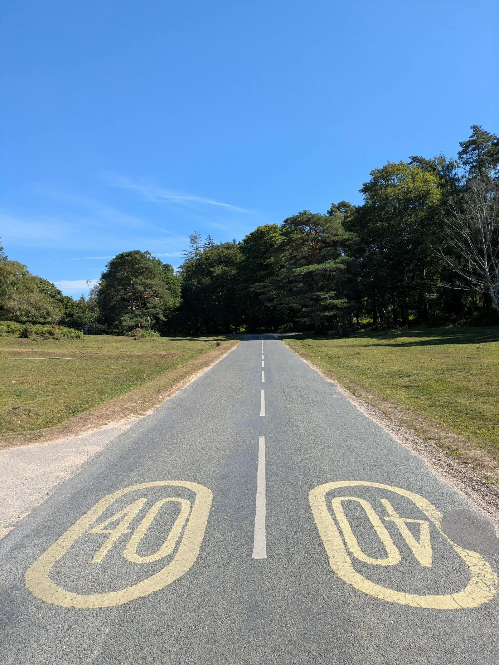 Horizontal Photos, Download The BEST Free Horizontal Stock Photos & HD ...