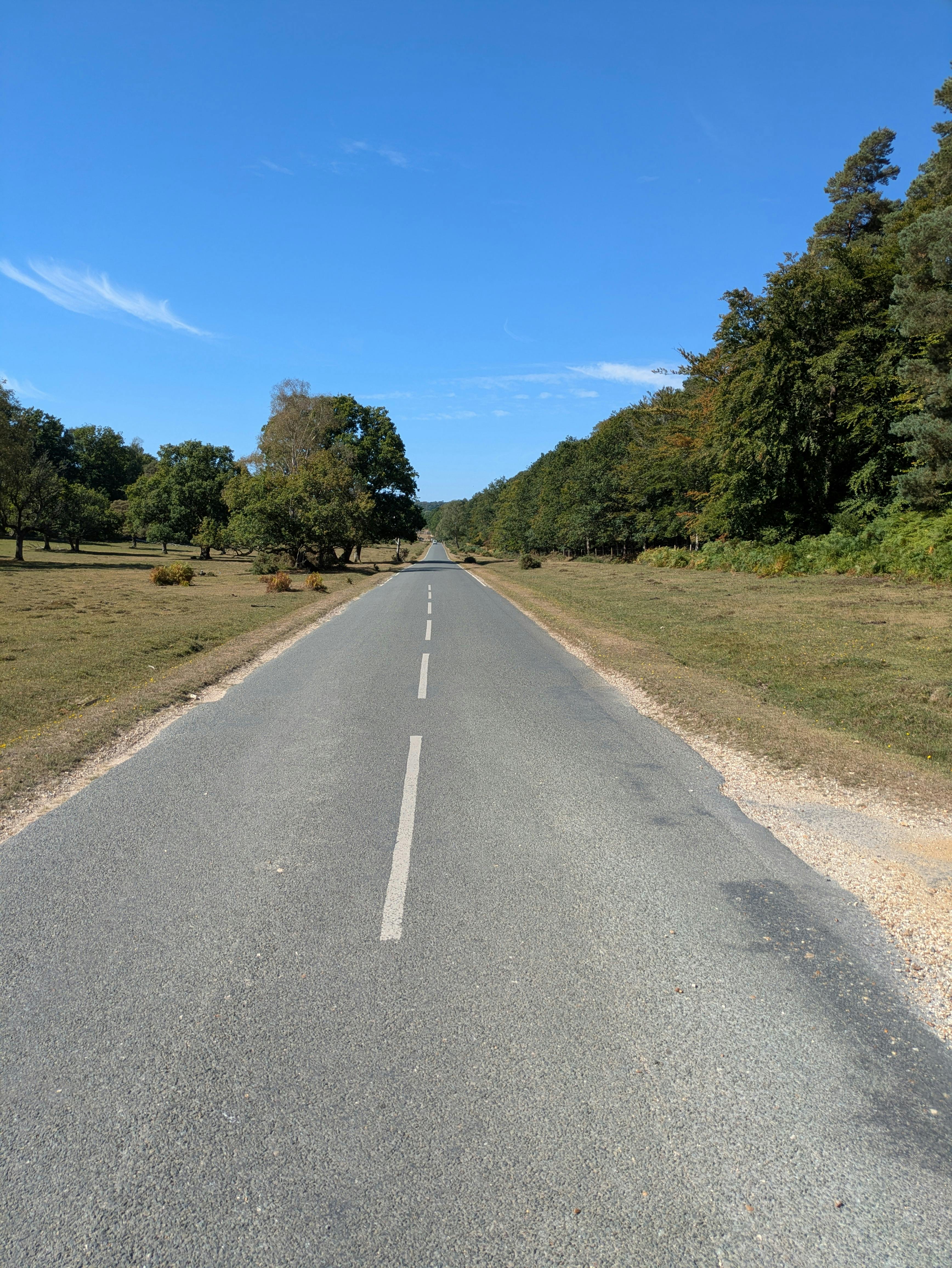 Newstar+Sunshine+Iii+Imagebam Photos, Download The BEST Free Newstar ...