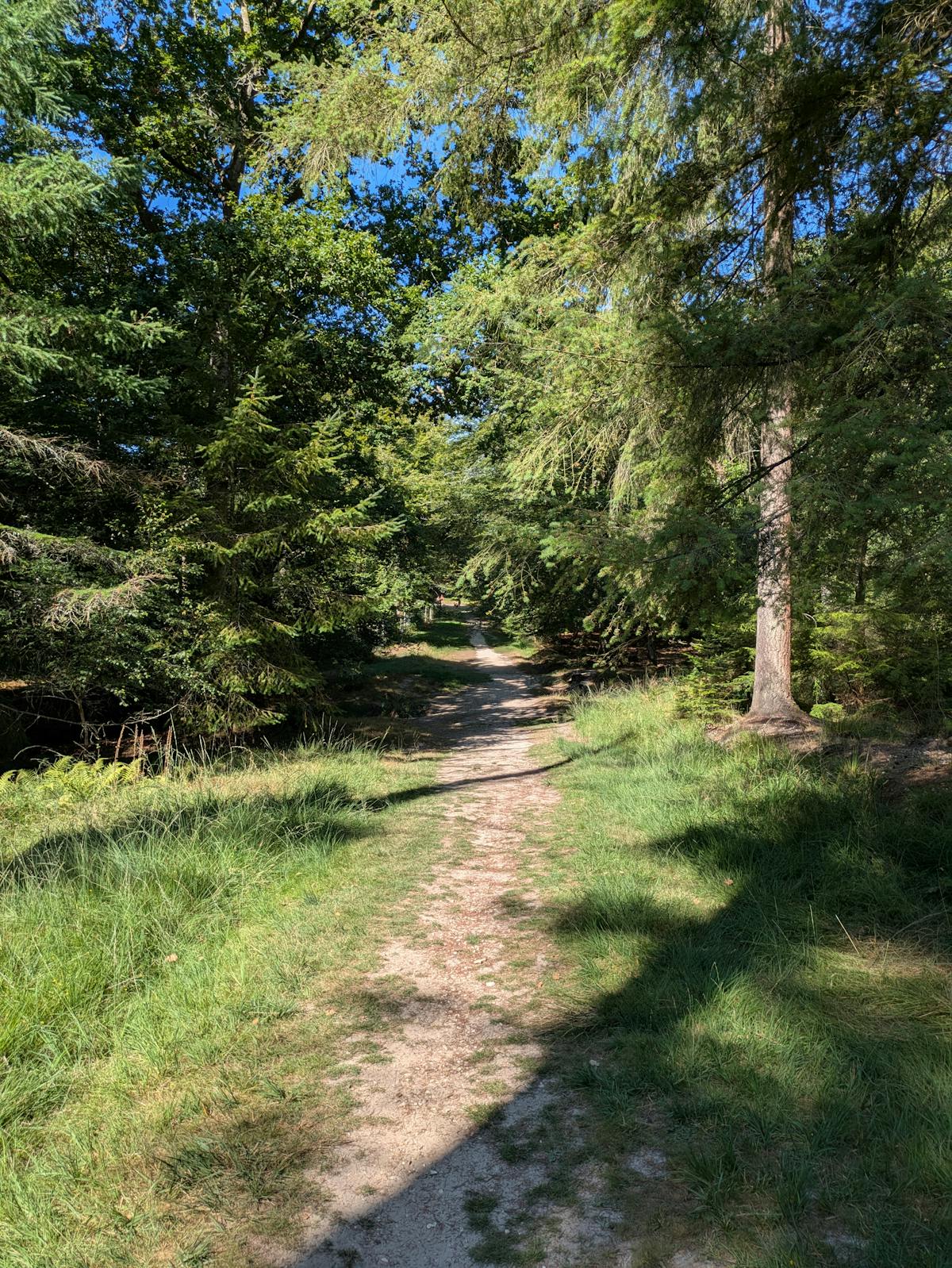 Short+Skirts+On+A+Windy+Day+No+Panties Photos, Download The BEST Free ...