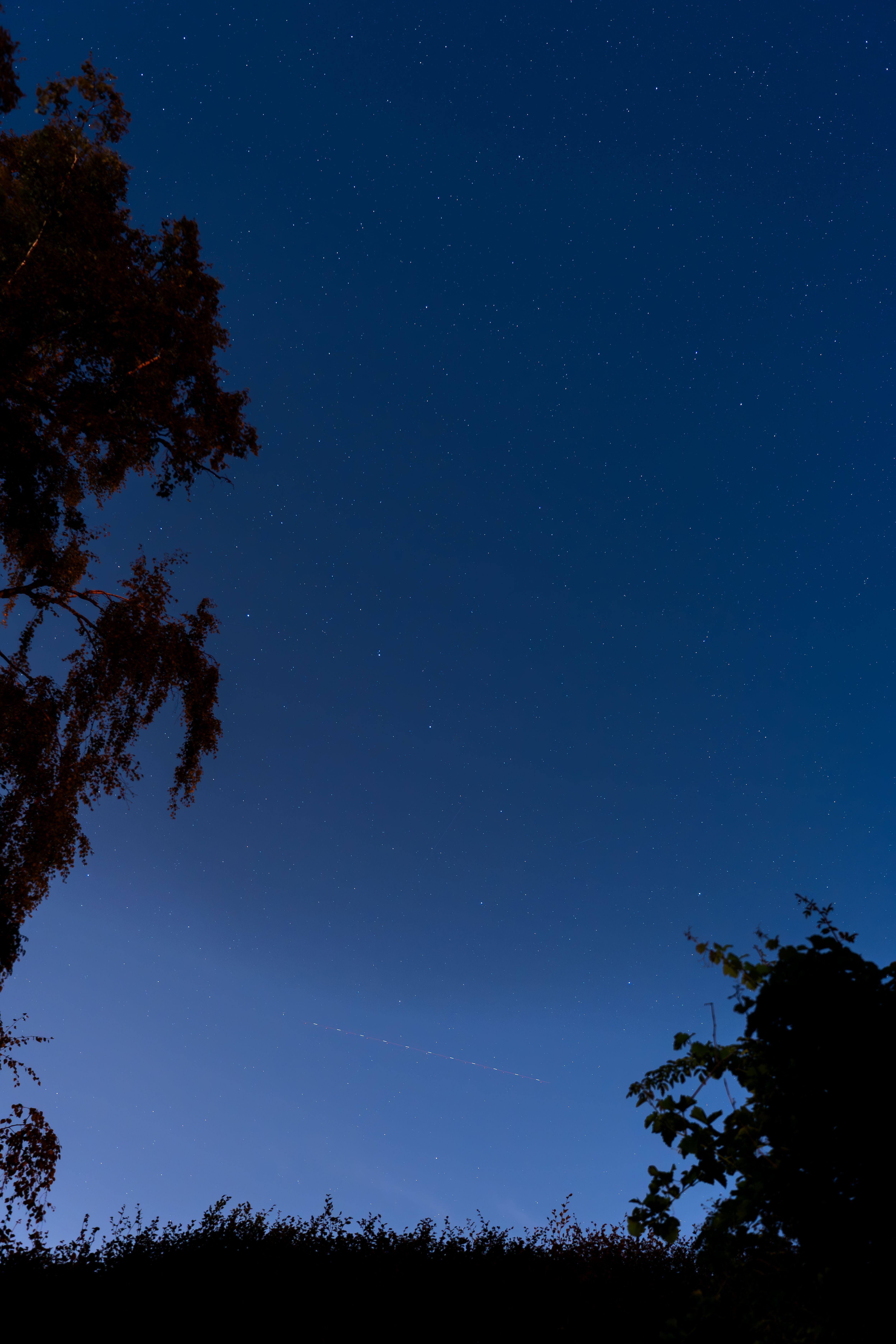 Starlight Photos, Download The BEST Free Starlight Stock Photos & HD Images