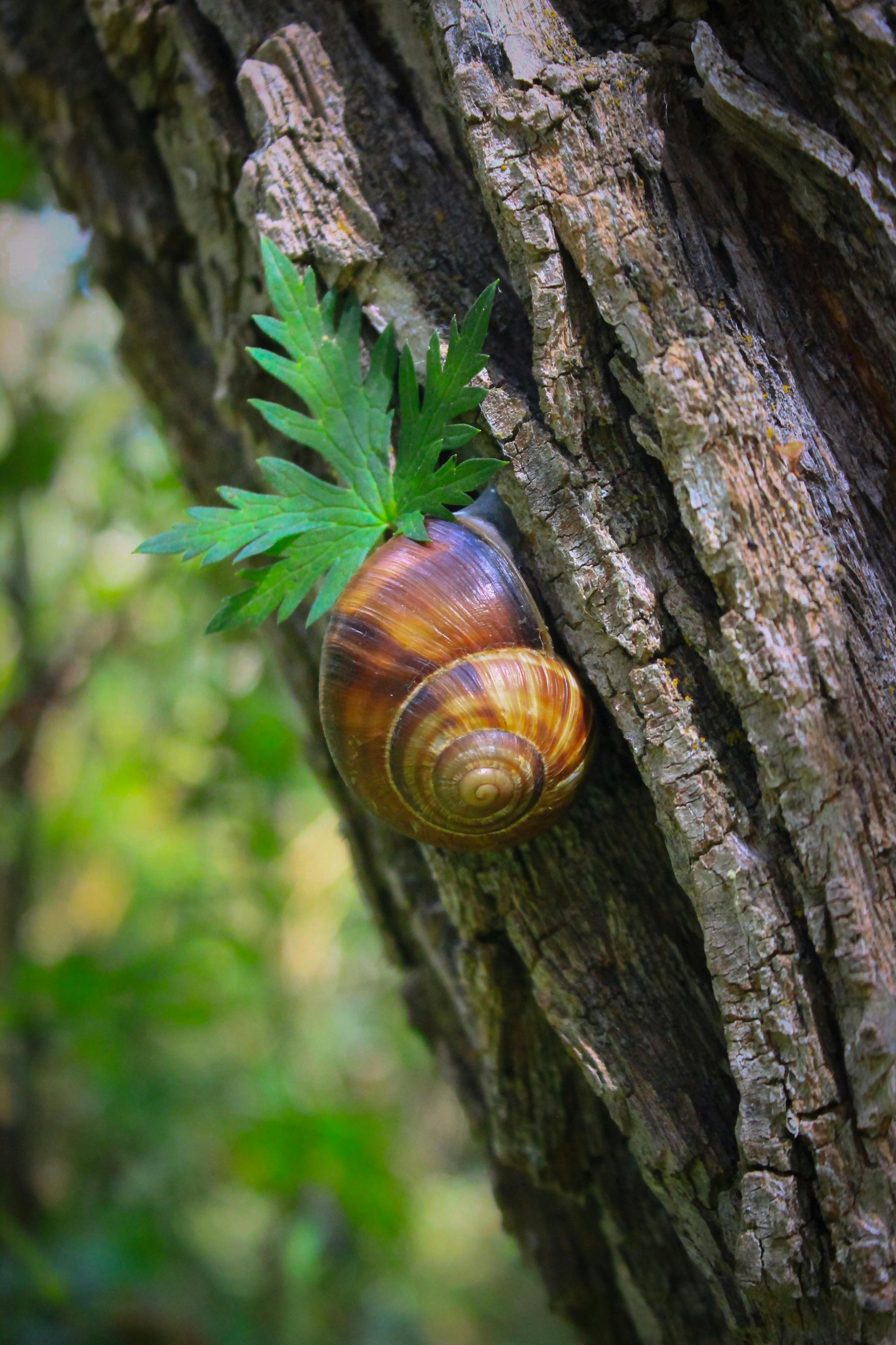 Slow+Passionate+Foreplay+Gif Photos, Download The BEST Free Slow ...