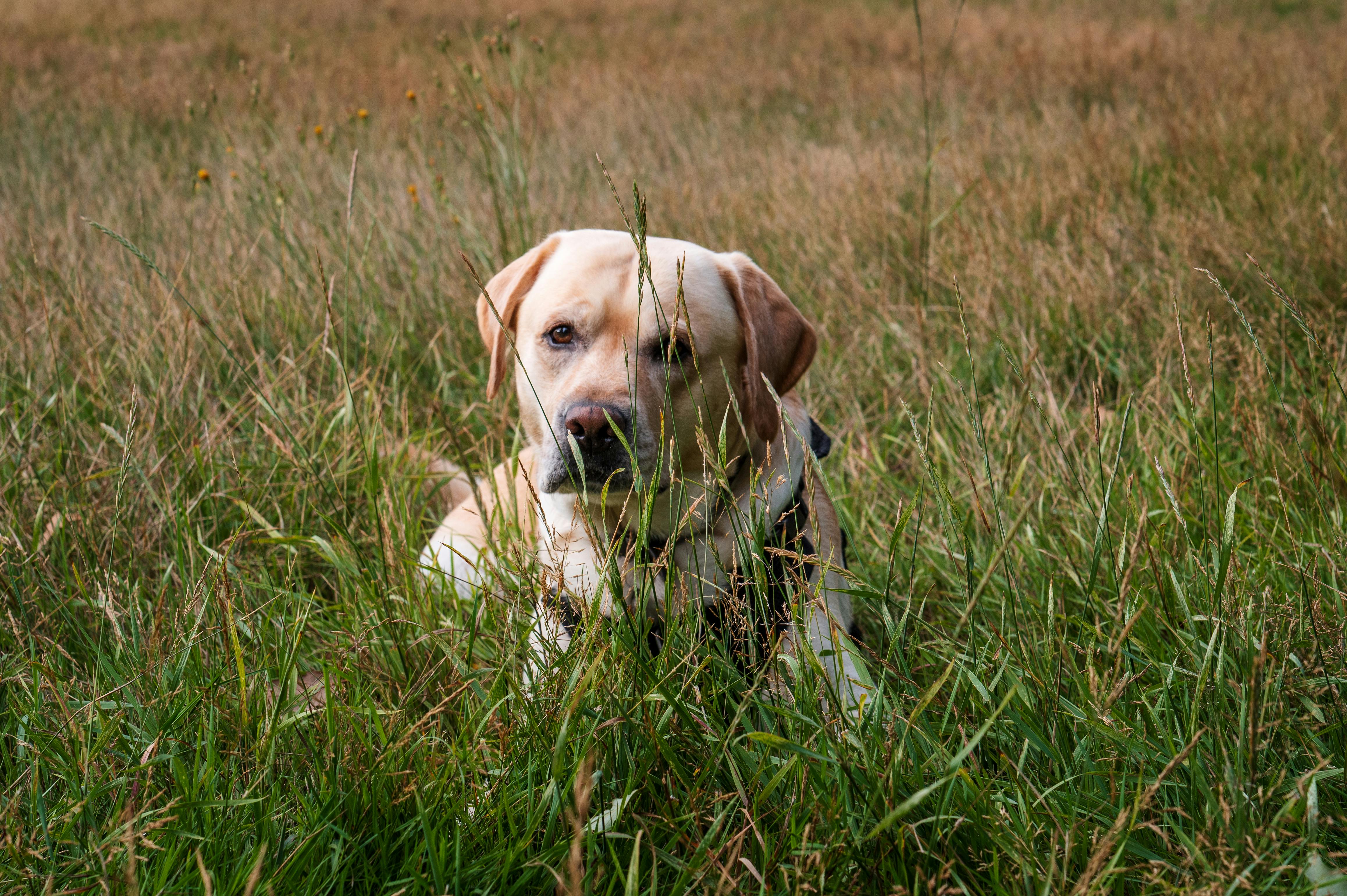 Emily+Compagno+Legs+And+Feet Photos, Download The BEST Free Emily ...