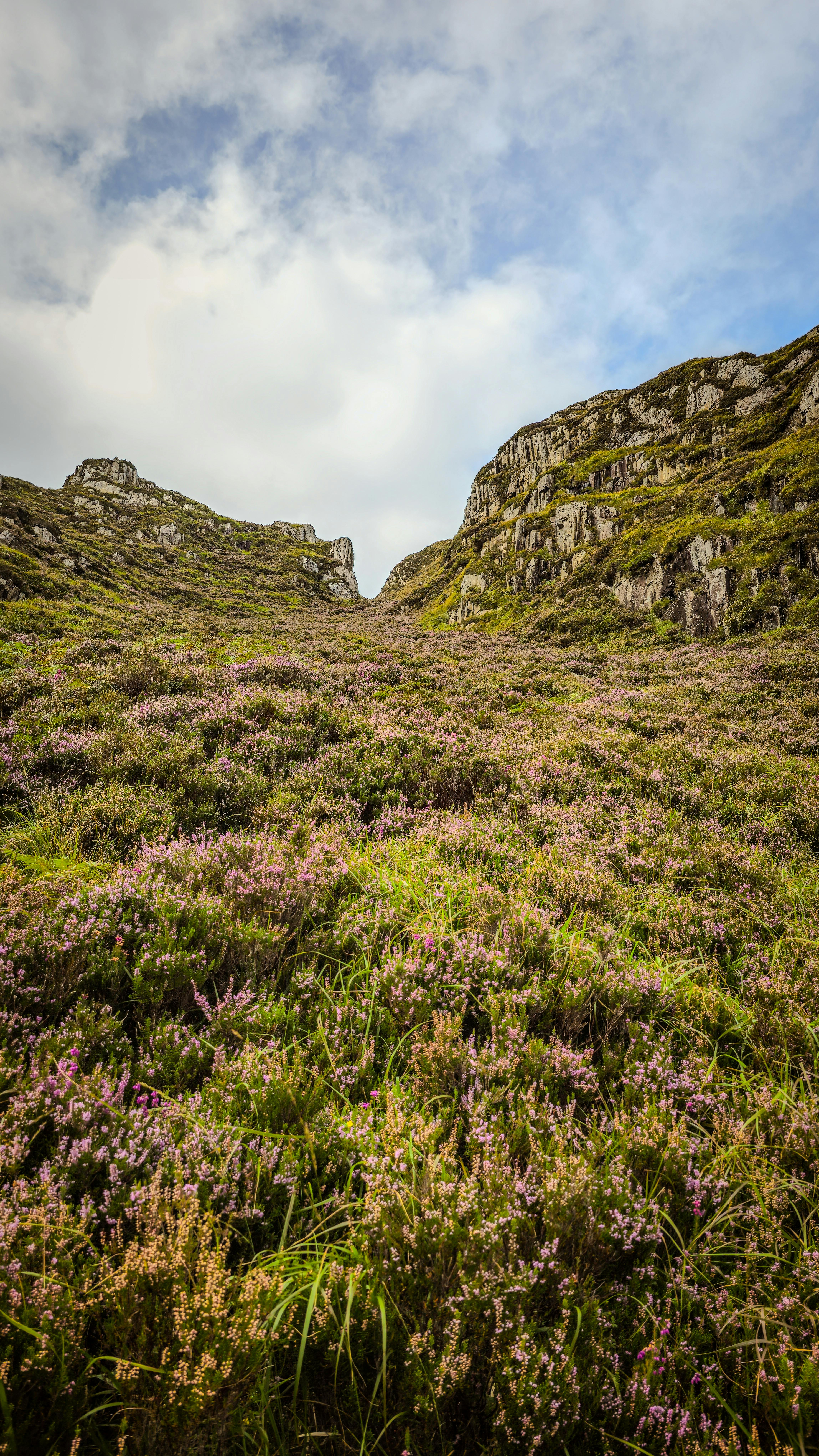 Nature High Resolution Photos, Download The BEST Free Nature High ...