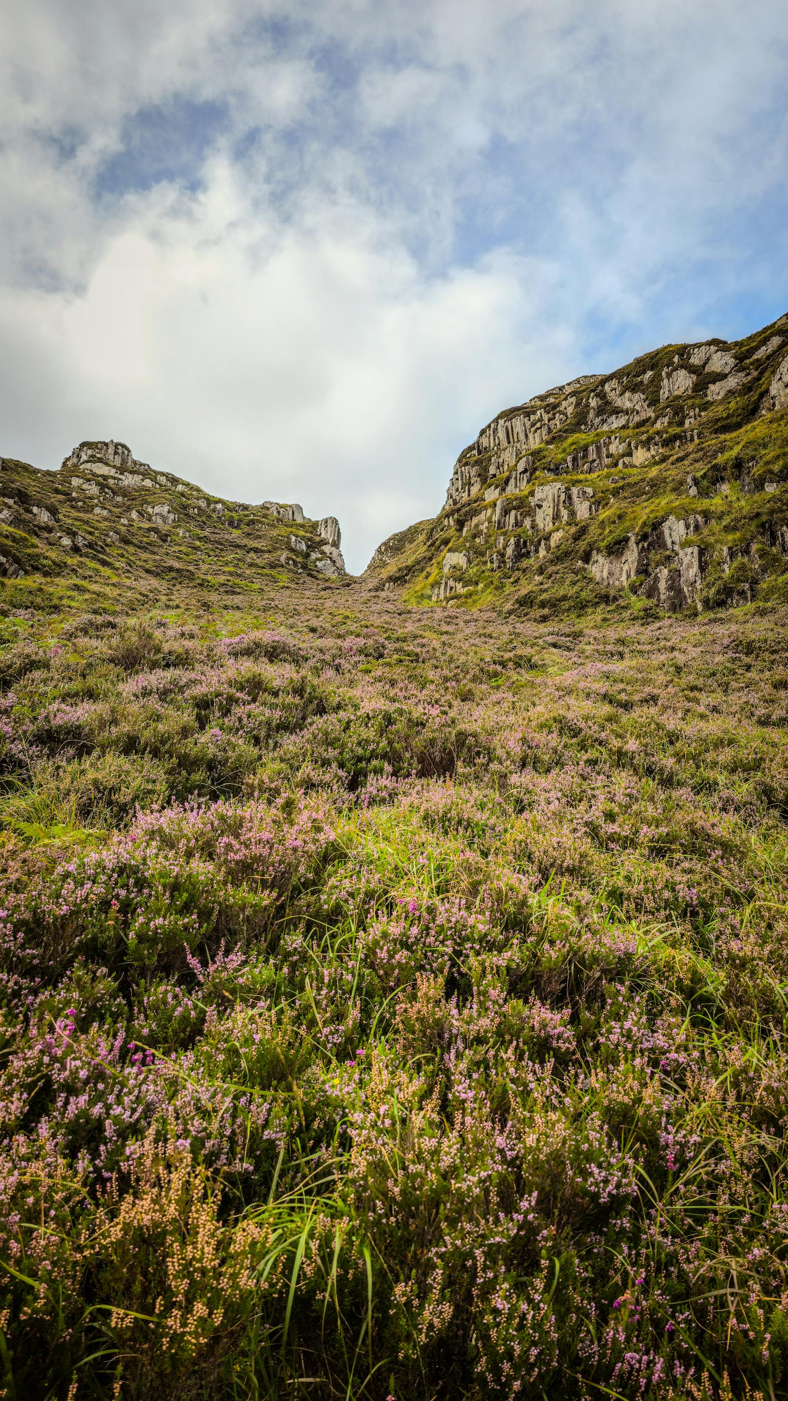 Nature High Resolution Photos, Download The BEST Free Nature High ...