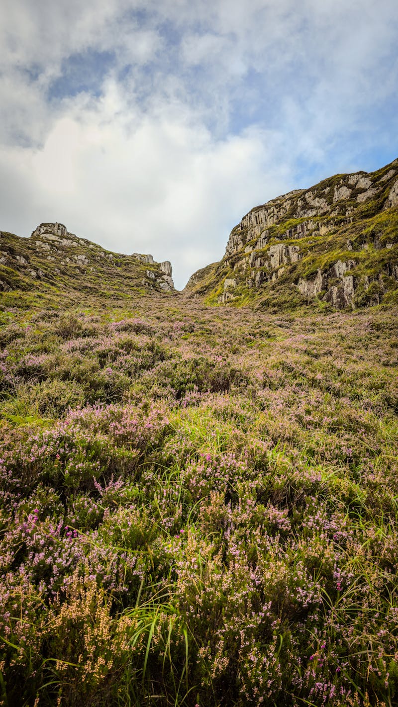 Nature High Resolution Photos, Download The BEST Free Nature High ...