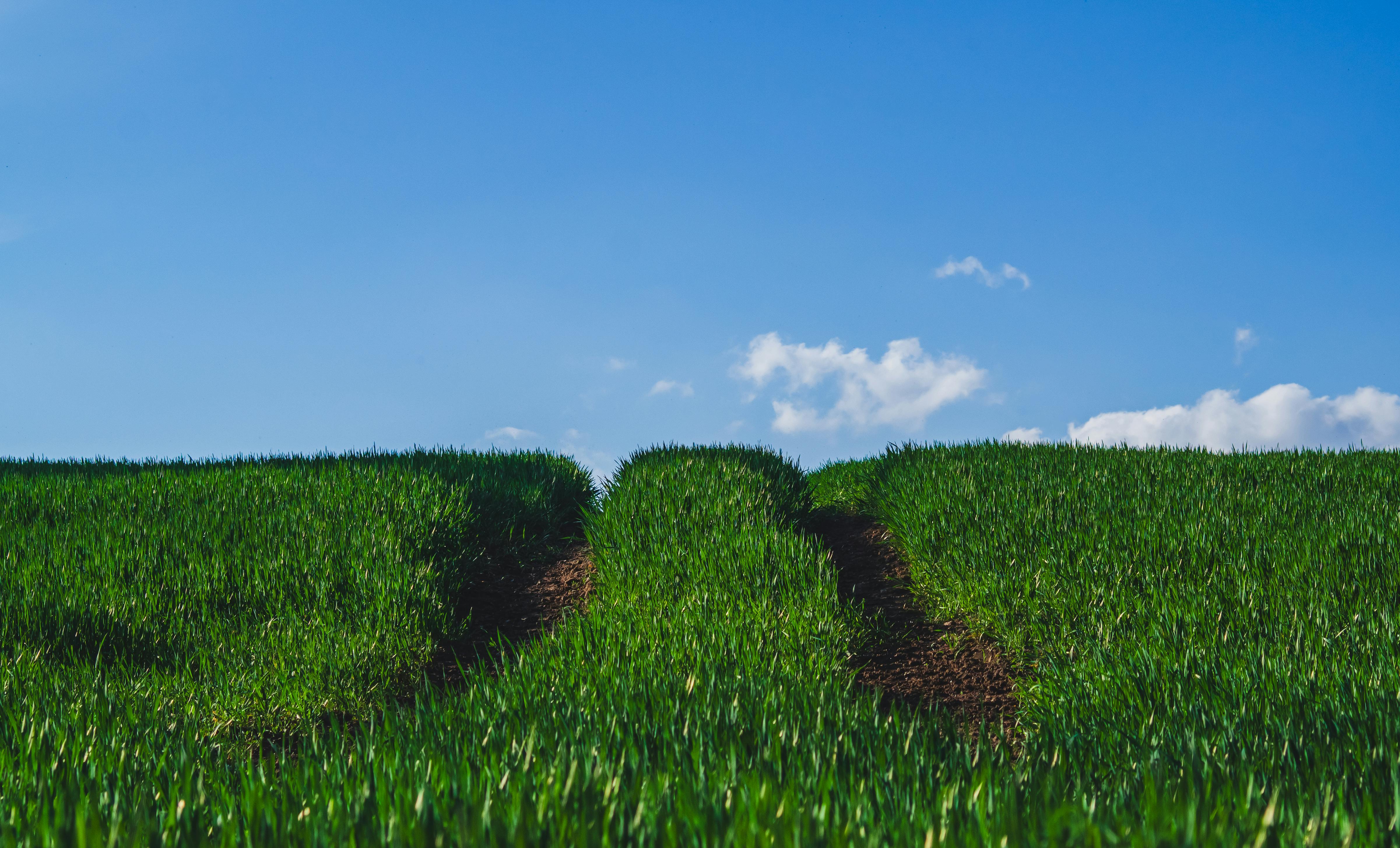 Simple Landscape Photos, Download The BEST Free Simple Landscape Stock ...