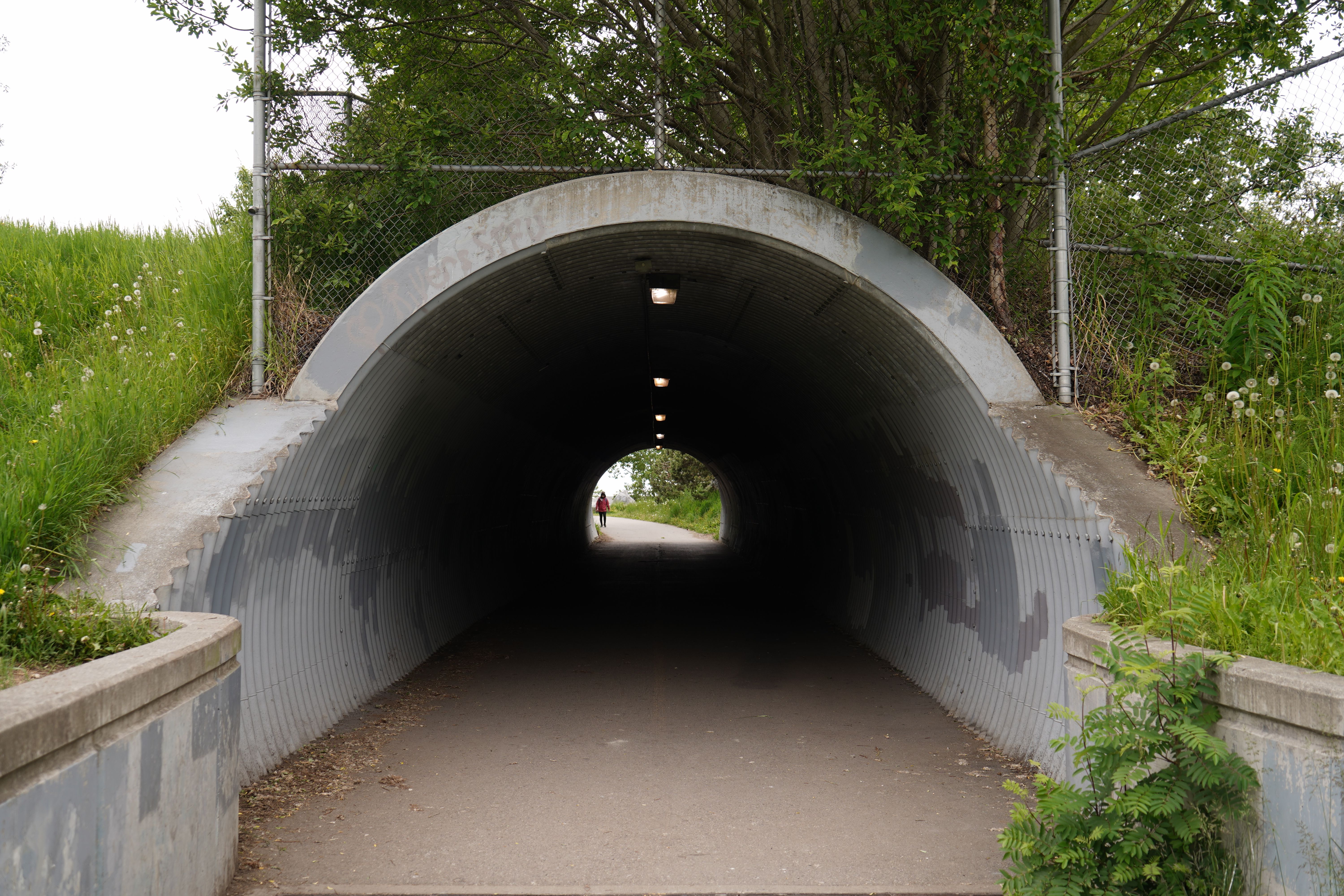 Pedestrian tunnel in lush green landscape · Free Stock Photo
