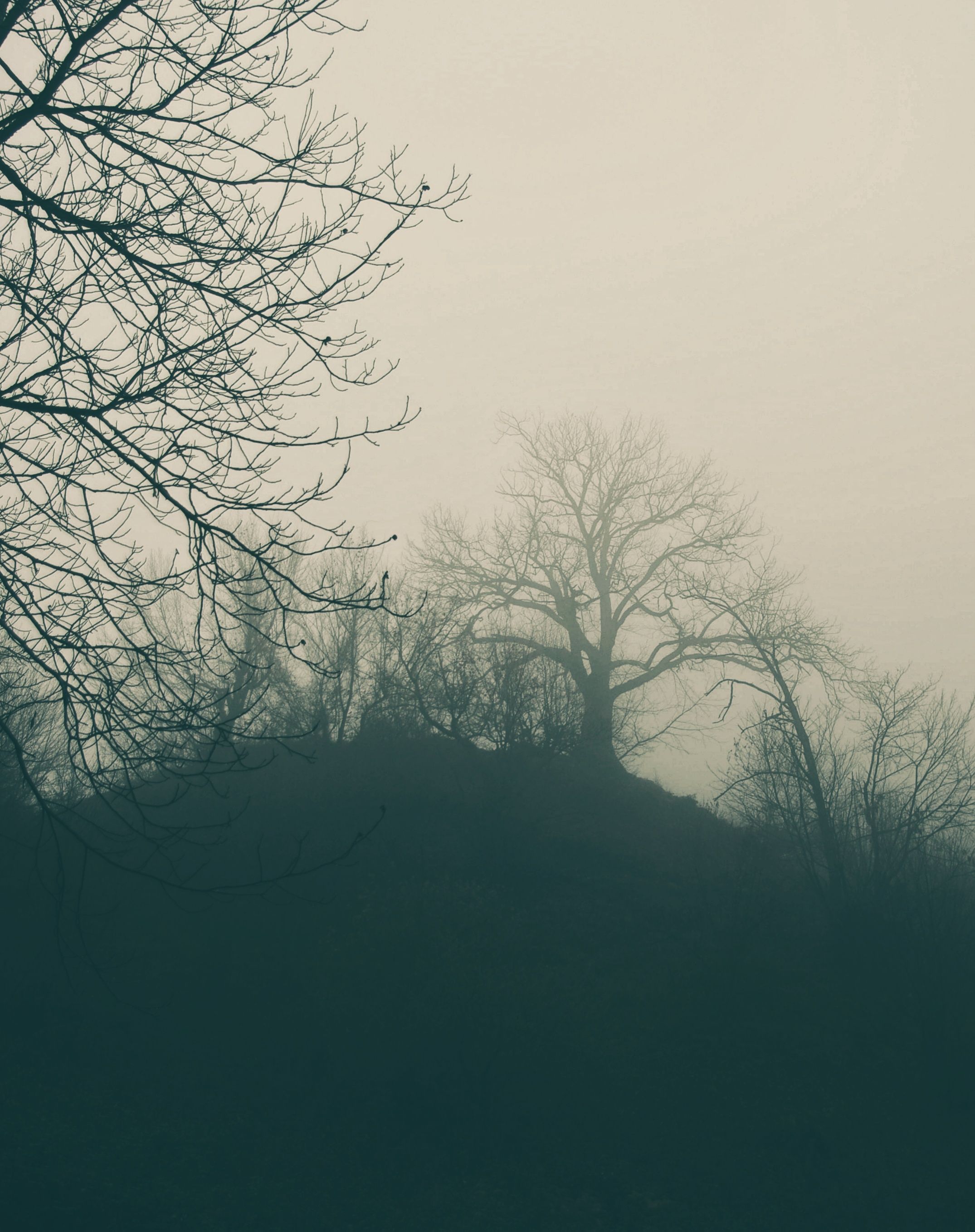 Gloomy Photos, Download The BEST Free Gloomy Stock Photos & HD Images