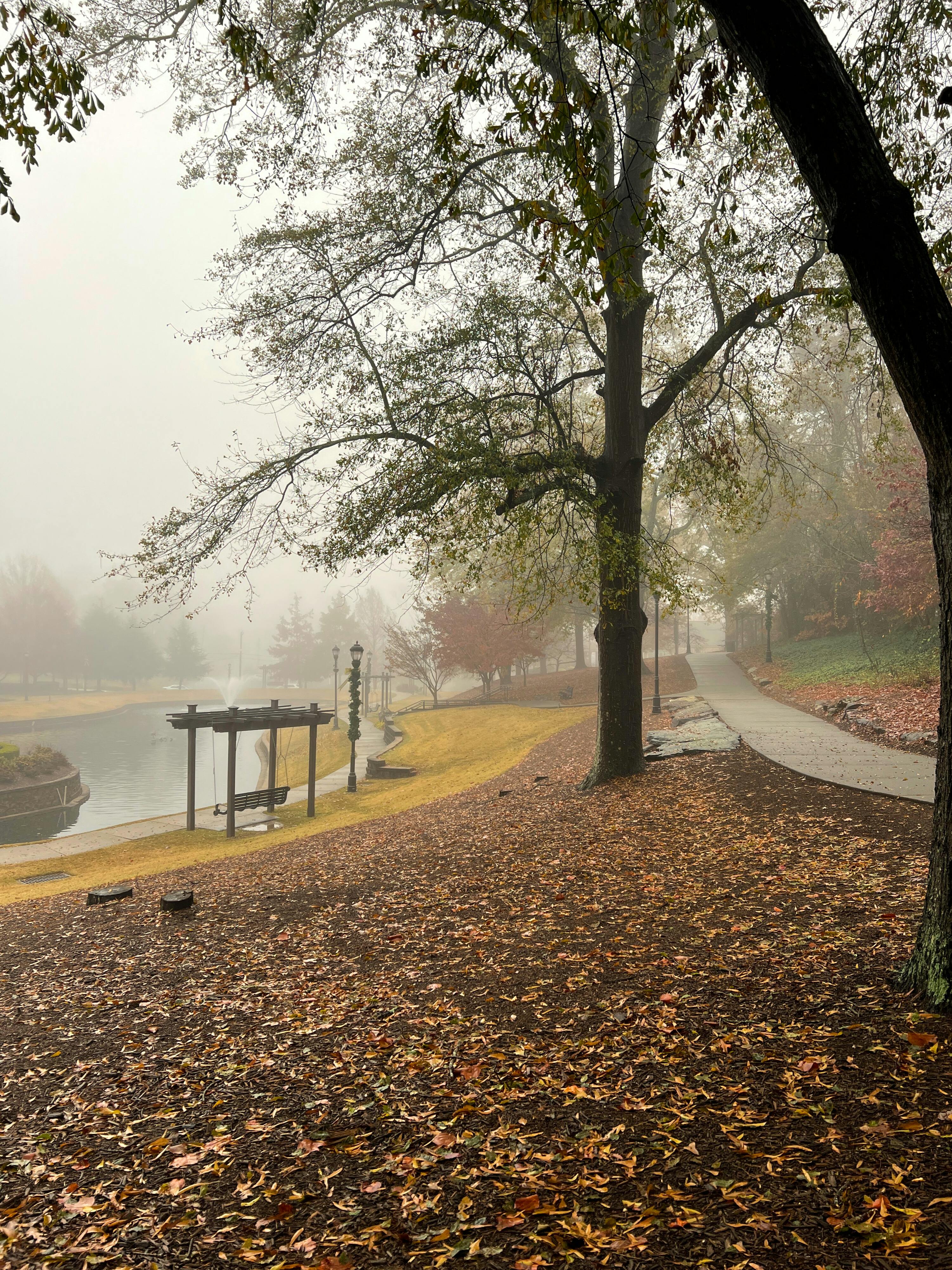 Dreamstime+Free+Images+Without+Watermark Photos, Download The BEST Free Dreamstime+Free+Images ...