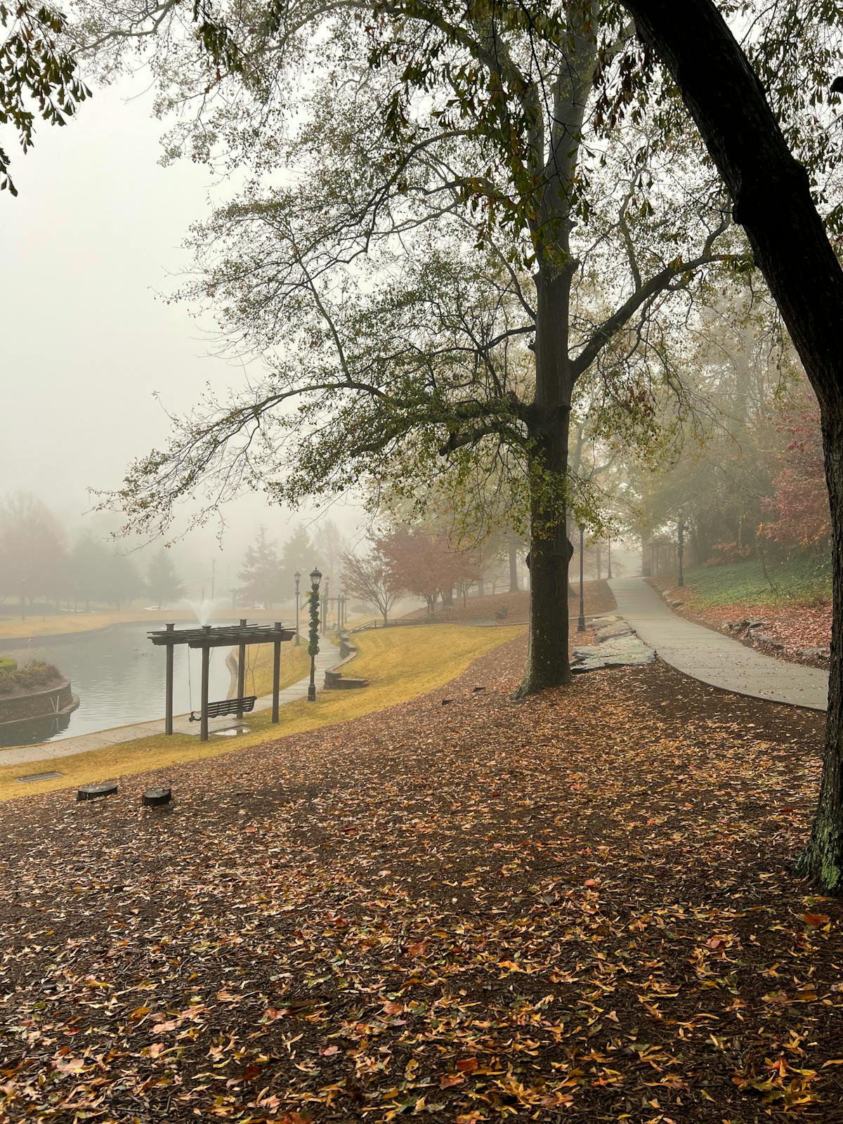 Free+Pfps Photos, Download The BEST Free Free+Pfps Stock Photos & HD Images