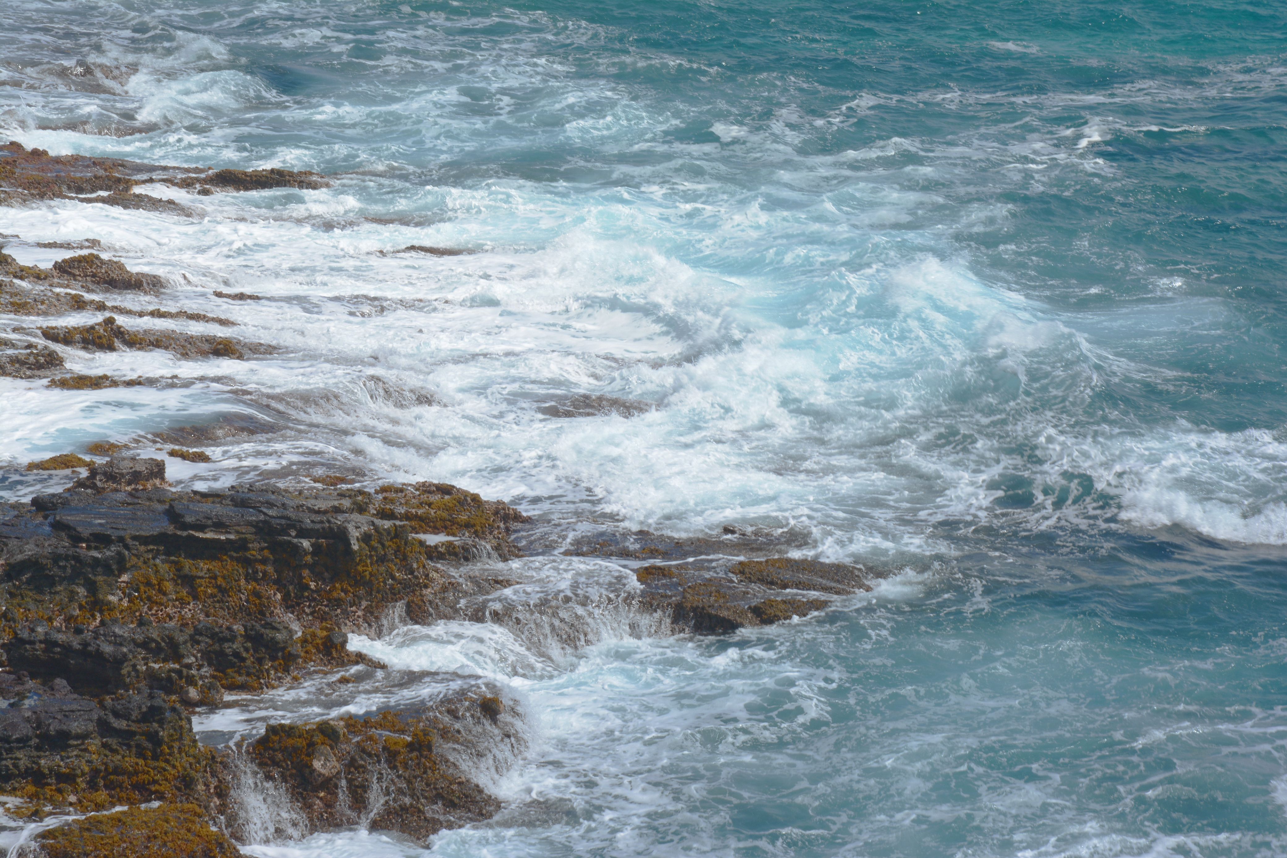 Dynamic Ocean Waves Crashing on Rocky Shoreline · Free Stock Photo