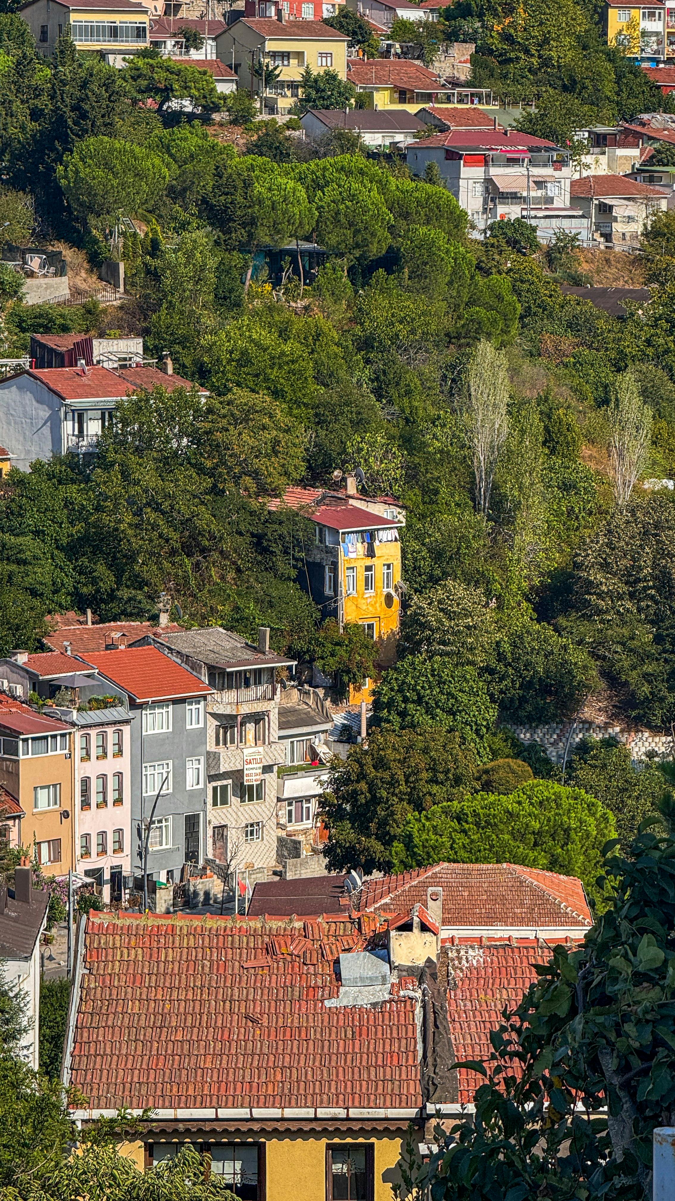 Real+Gyatt+Pics Photos, Download The BEST Free Real+Gyatt+Pics Stock ...