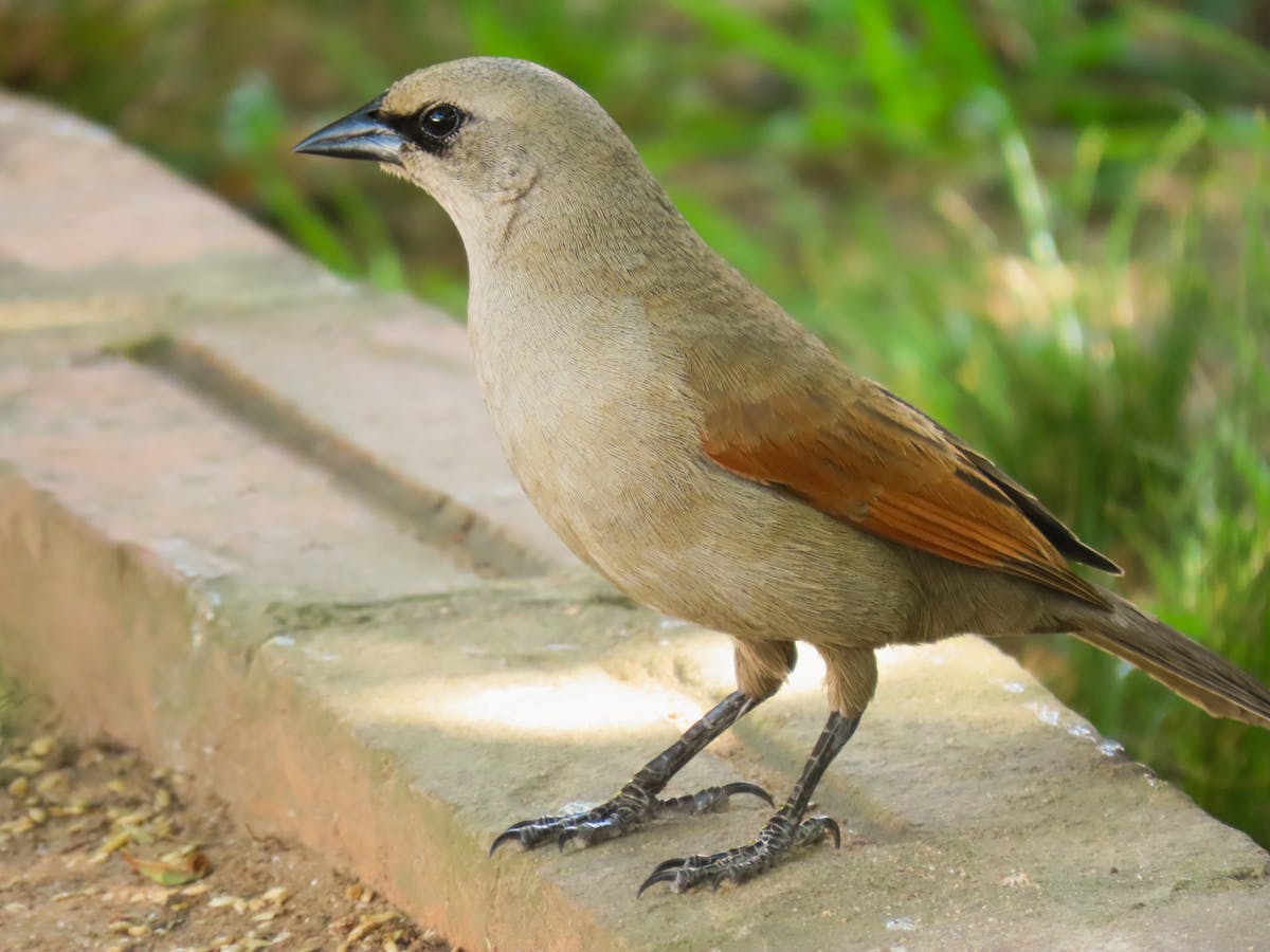 Dreamstime+Free+Images+Without+Watermark Photos, Download The BEST Free ...