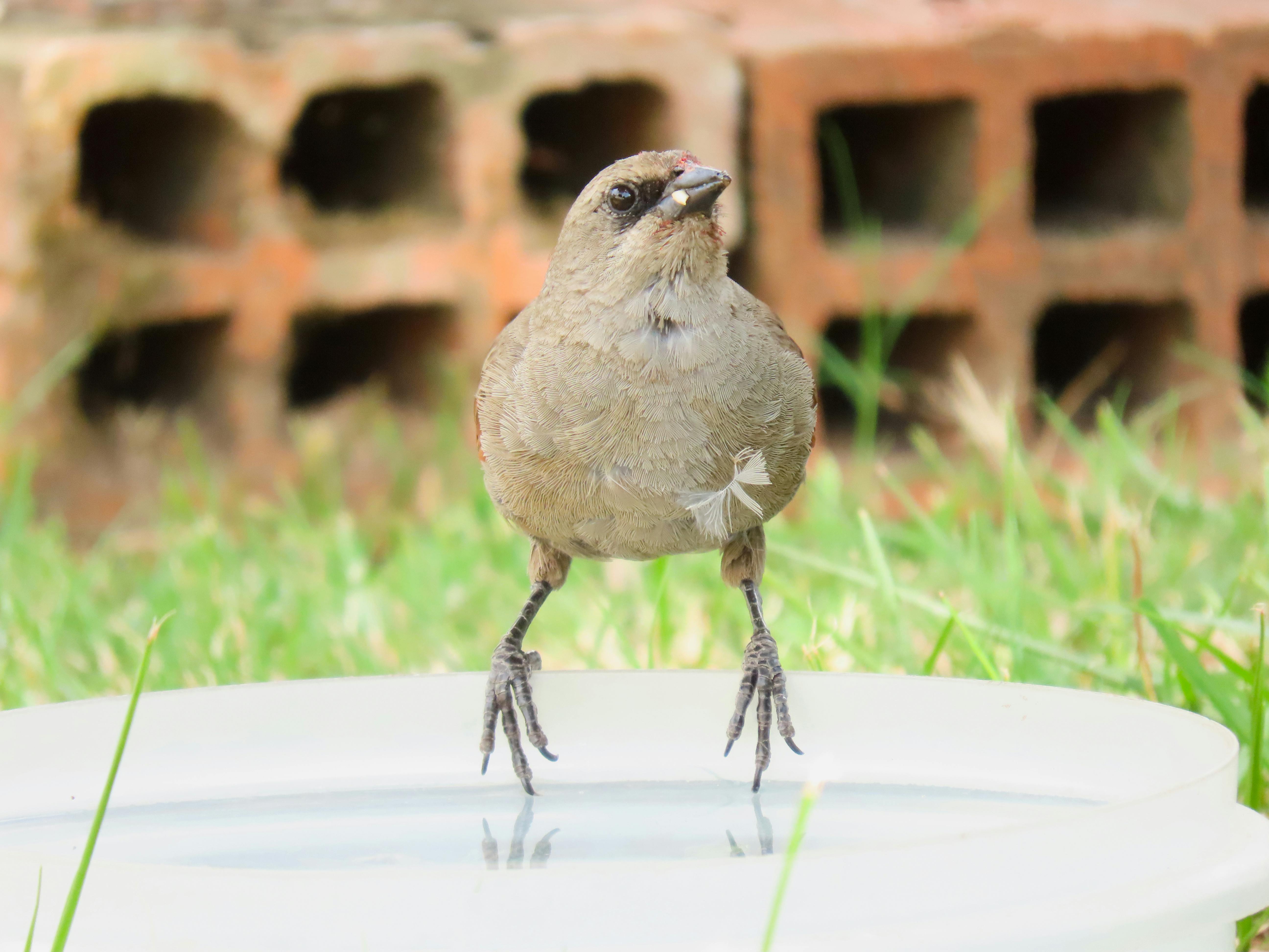 Nagi Ladki Yo Ka Photo Photos, Download The BEST Free Nagi Ladki Yo Ka ...