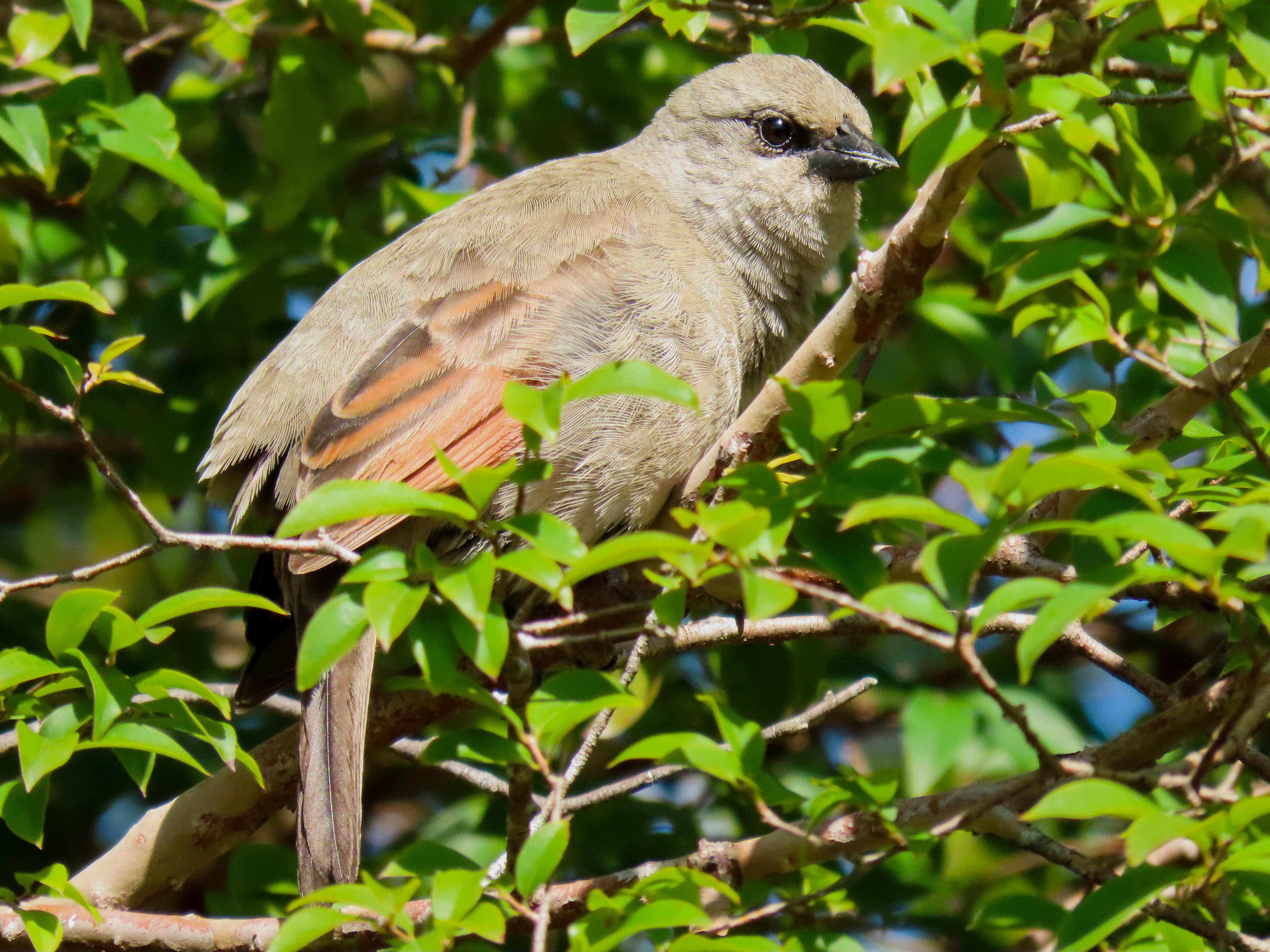 Vladimir Putin Photo Photos, Download The BEST Free Vladimir Putin ...