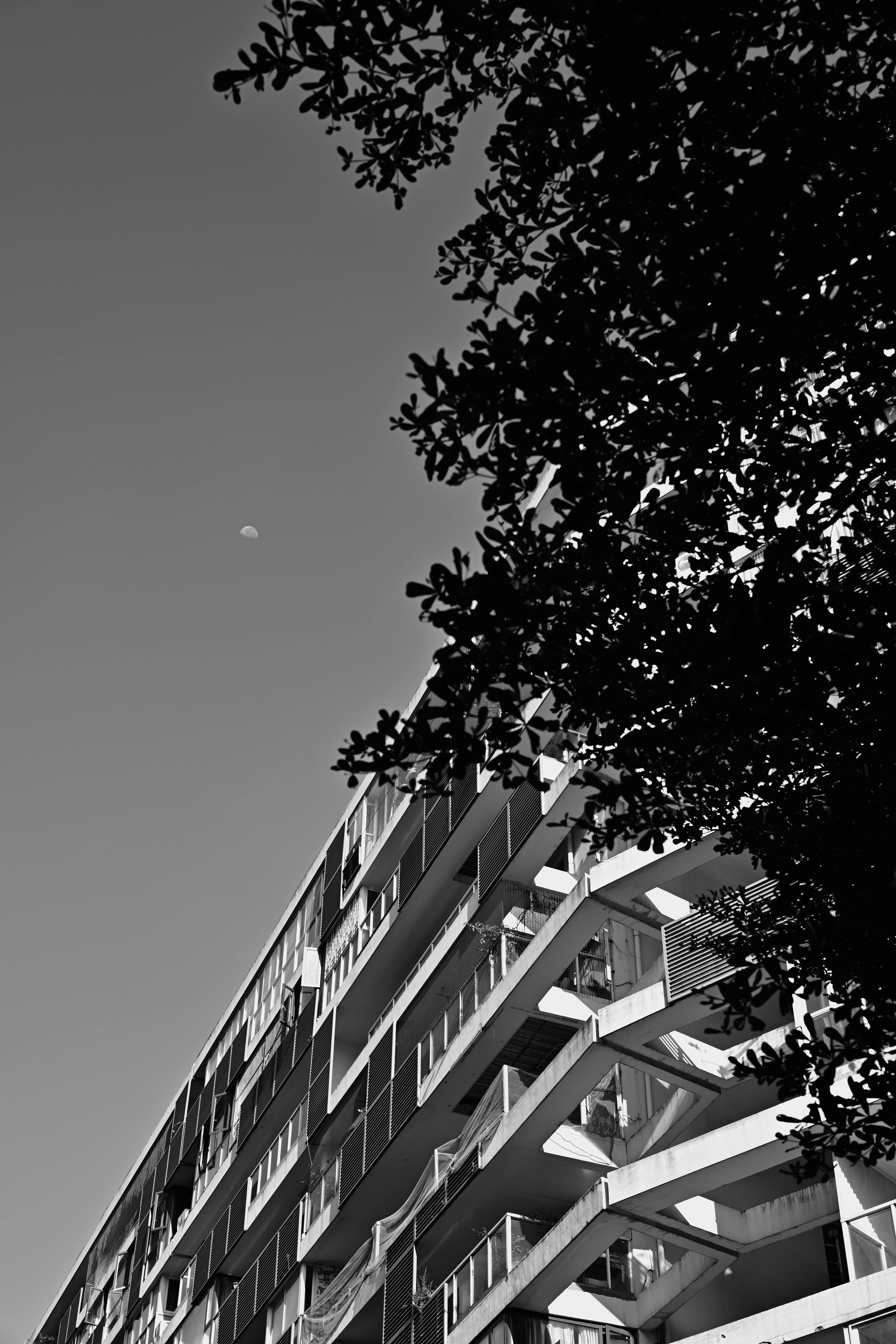 Tiv 2 Photos, Download The BEST Free Tiv 2 Stock Photos & HD Images