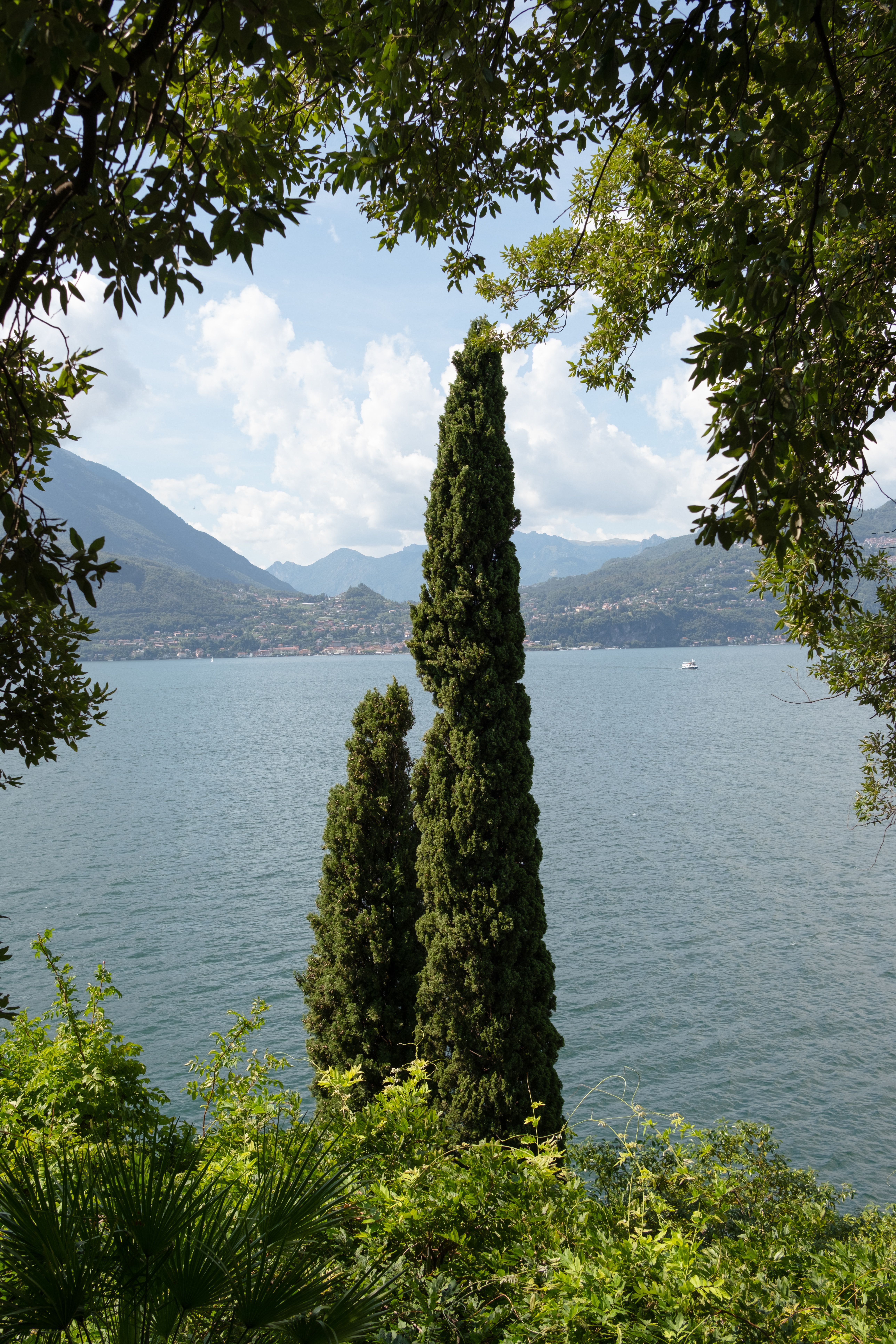 Scenic Lakeside View with Cypress Trees · meta.free_stock.photo