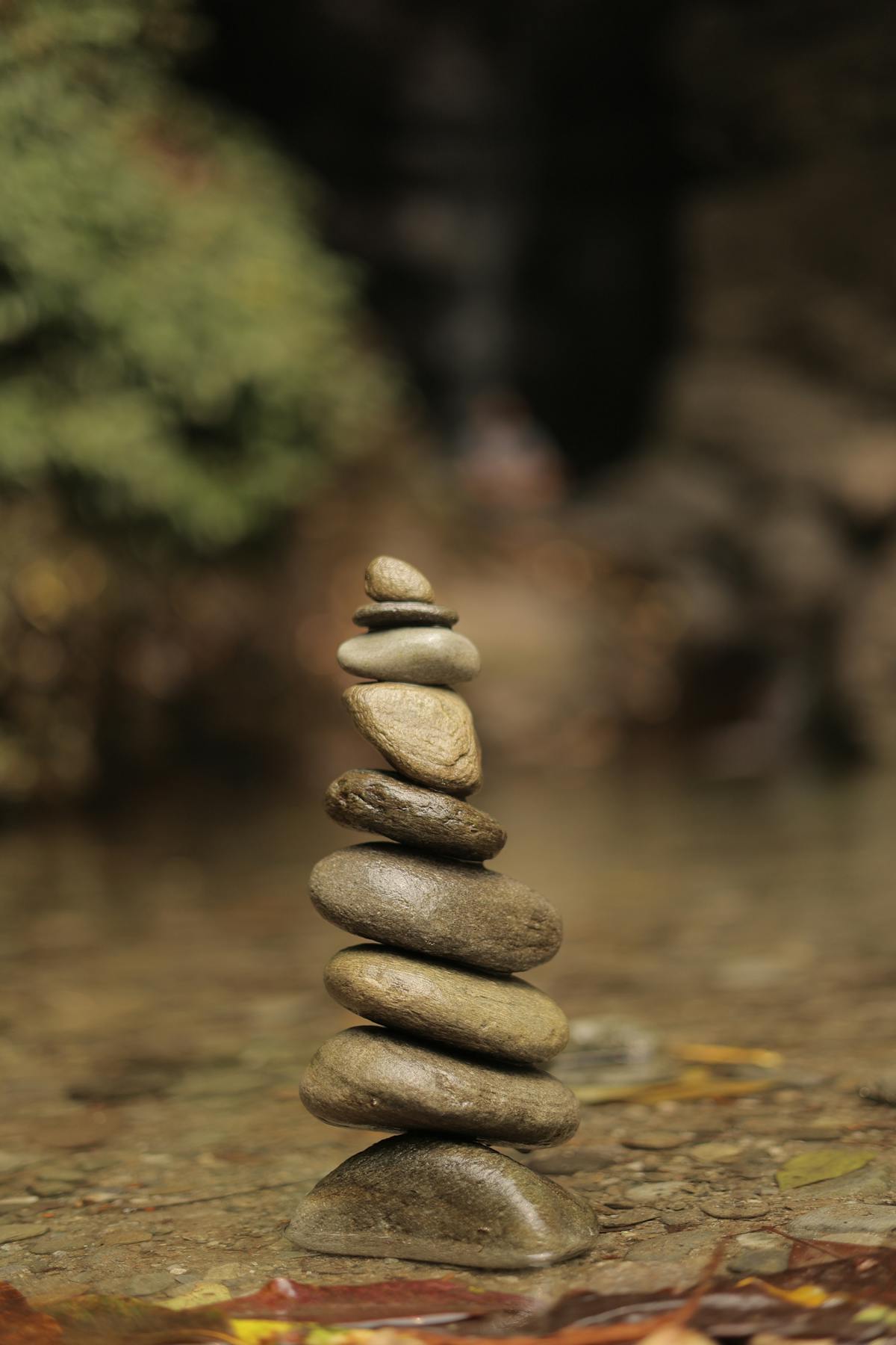 Stacked+Girls Photos, Download The BEST Free Stacked+Girls Stock Photos ...