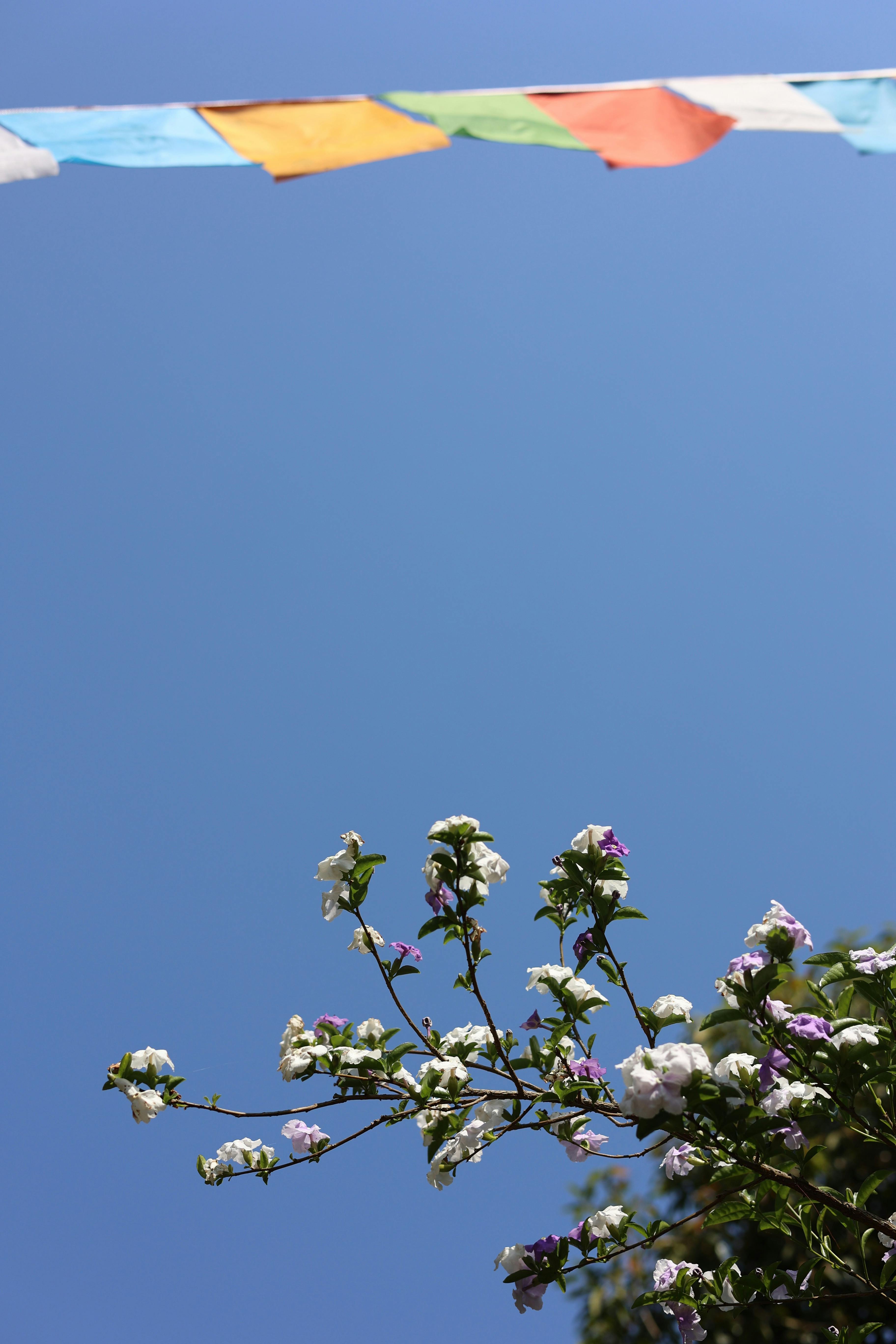 12x36 Psd Background Photos, Download The BEST Free 12x36 Psd ...