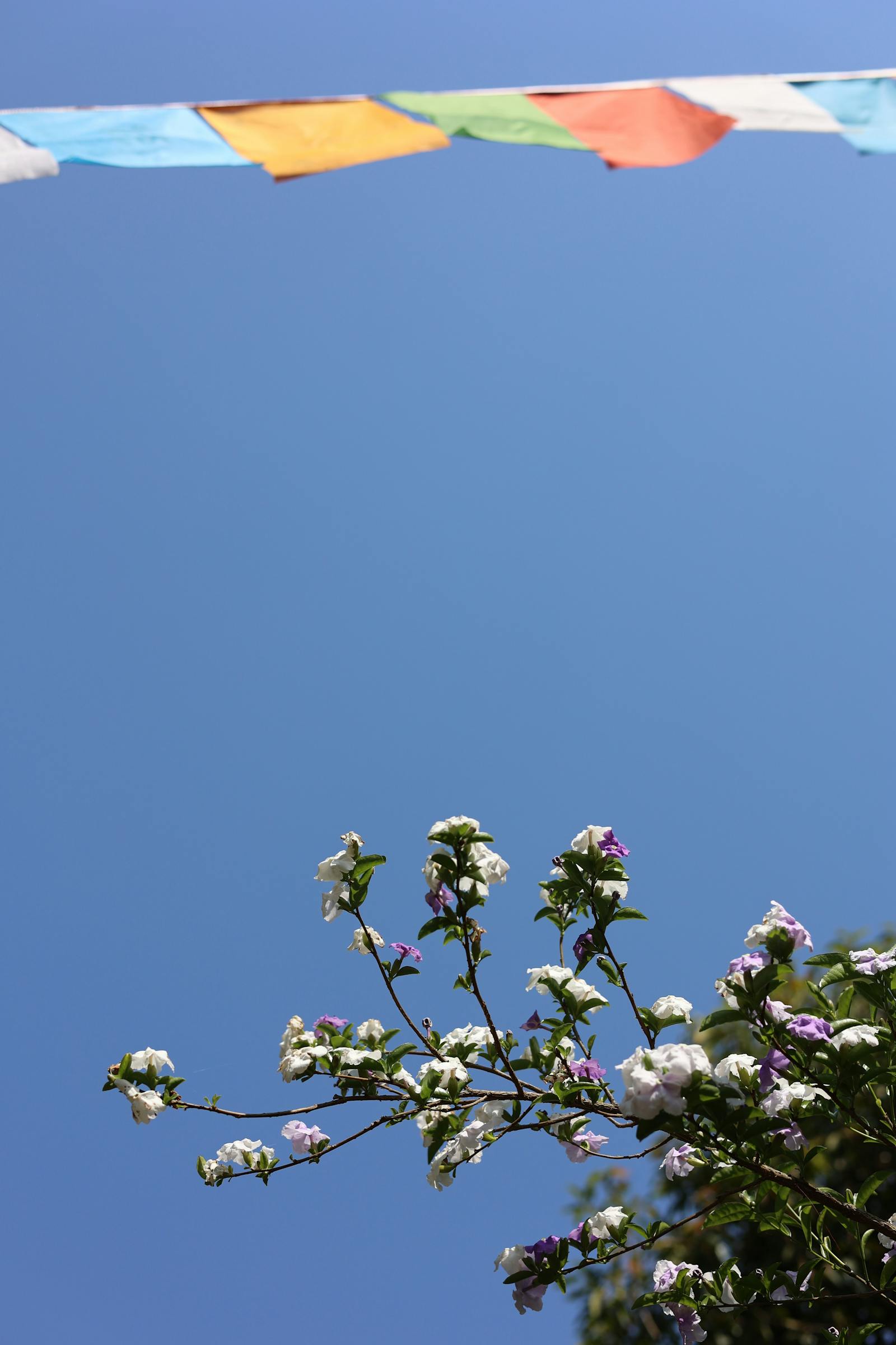 Background Nature Photos, Download The BEST Free Background Nature ...