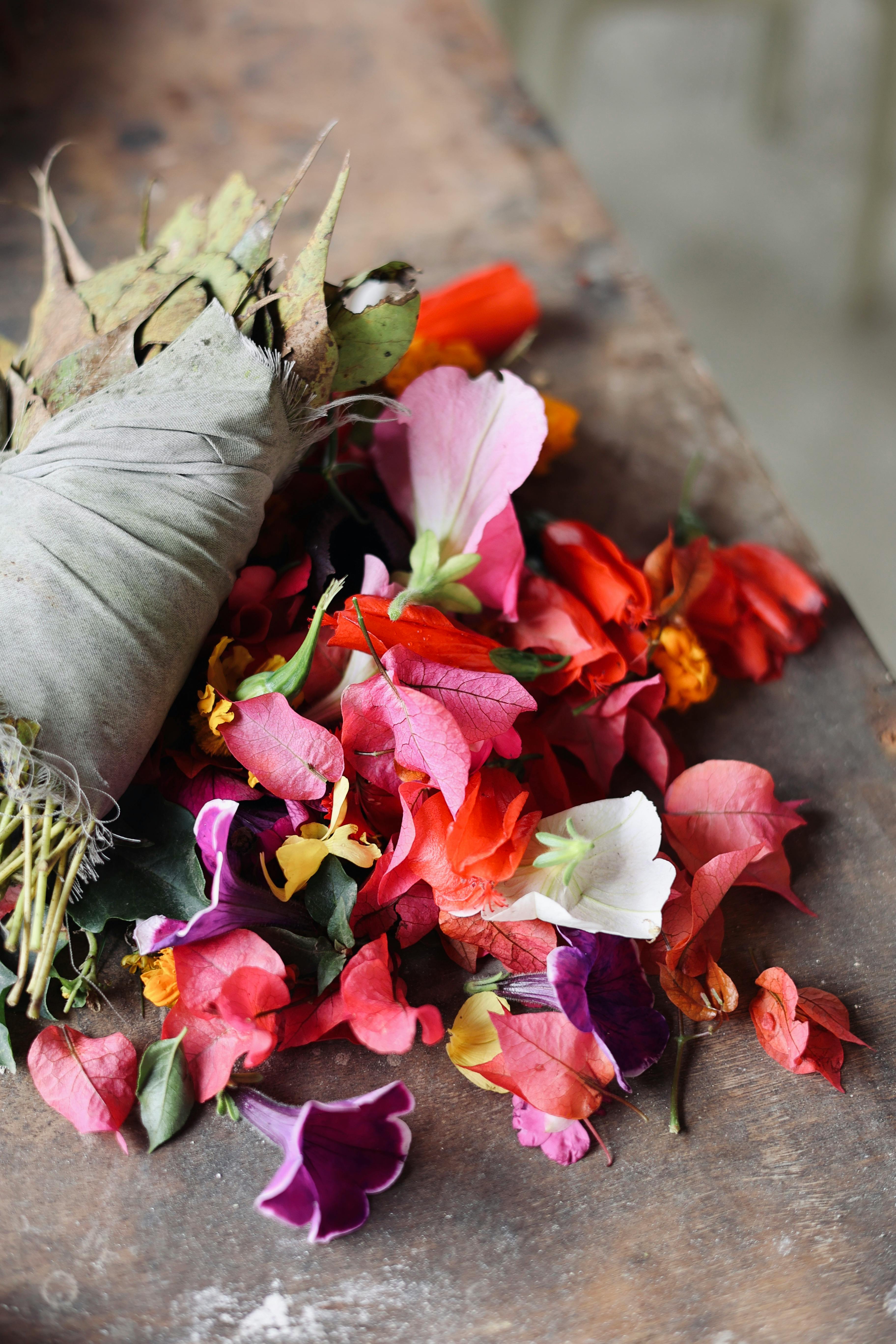 Shiny+Flower+Belinda+Bely Photos, Download The BEST Free Shiny+Flower ...