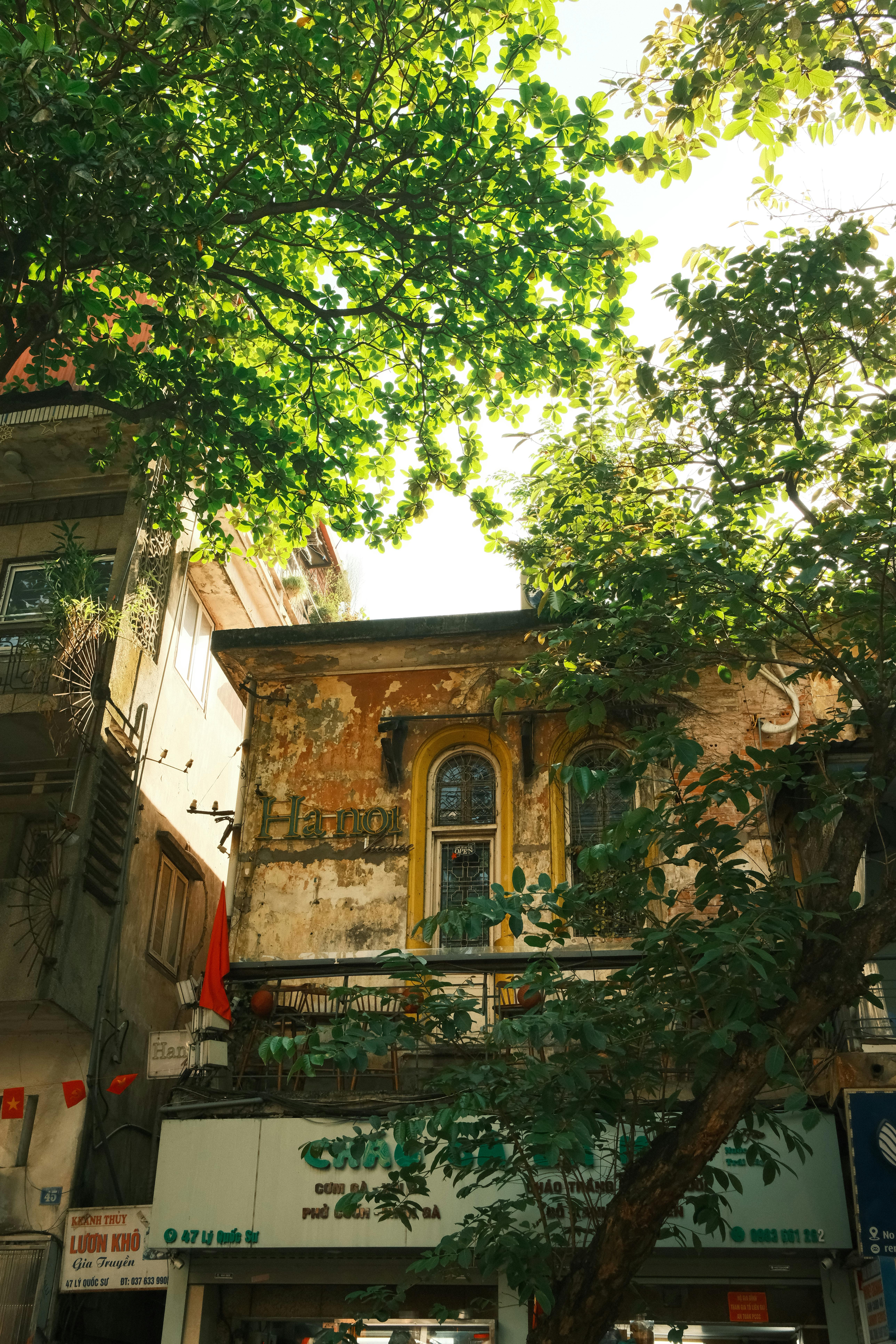 Newstar+Sunshine+Iii+Imagebam Photos, Download The BEST Free Newstar ...