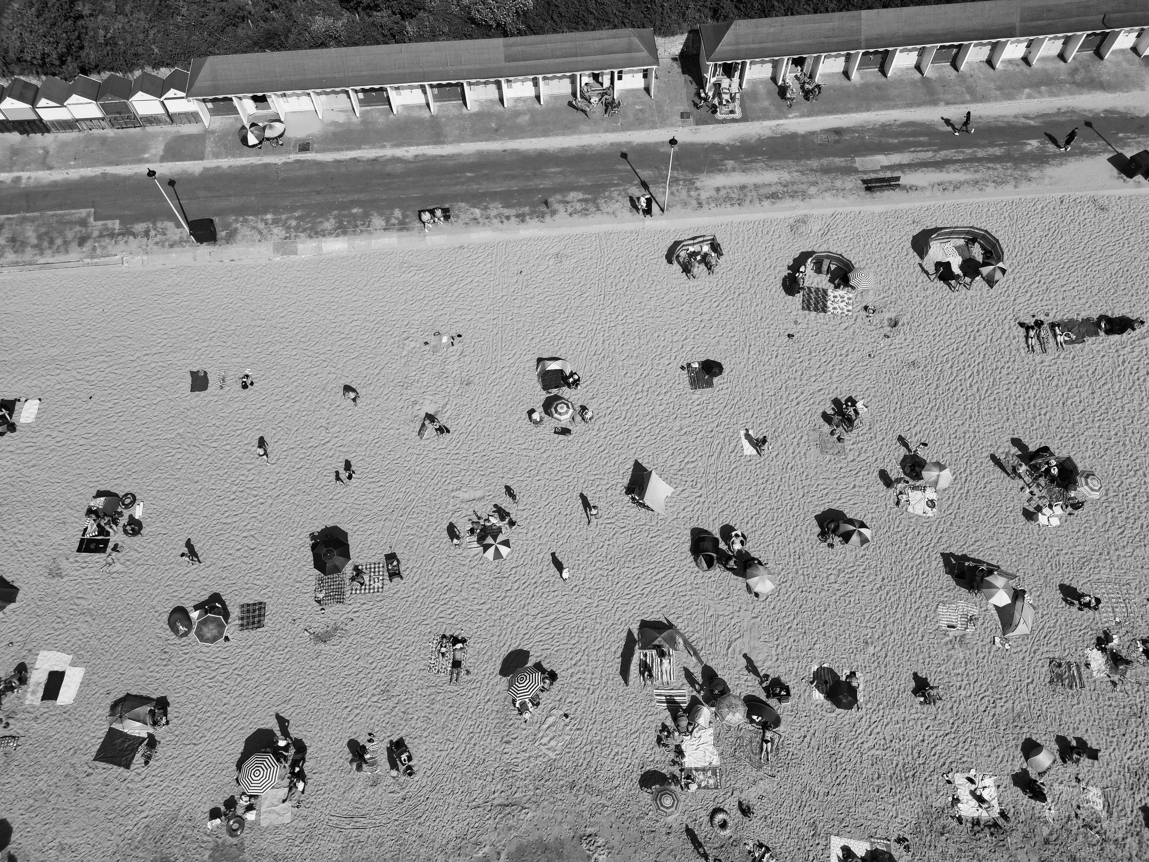 Group+Pfps Photos, Download The BEST Free Group+Pfps Stock Photos & HD ...