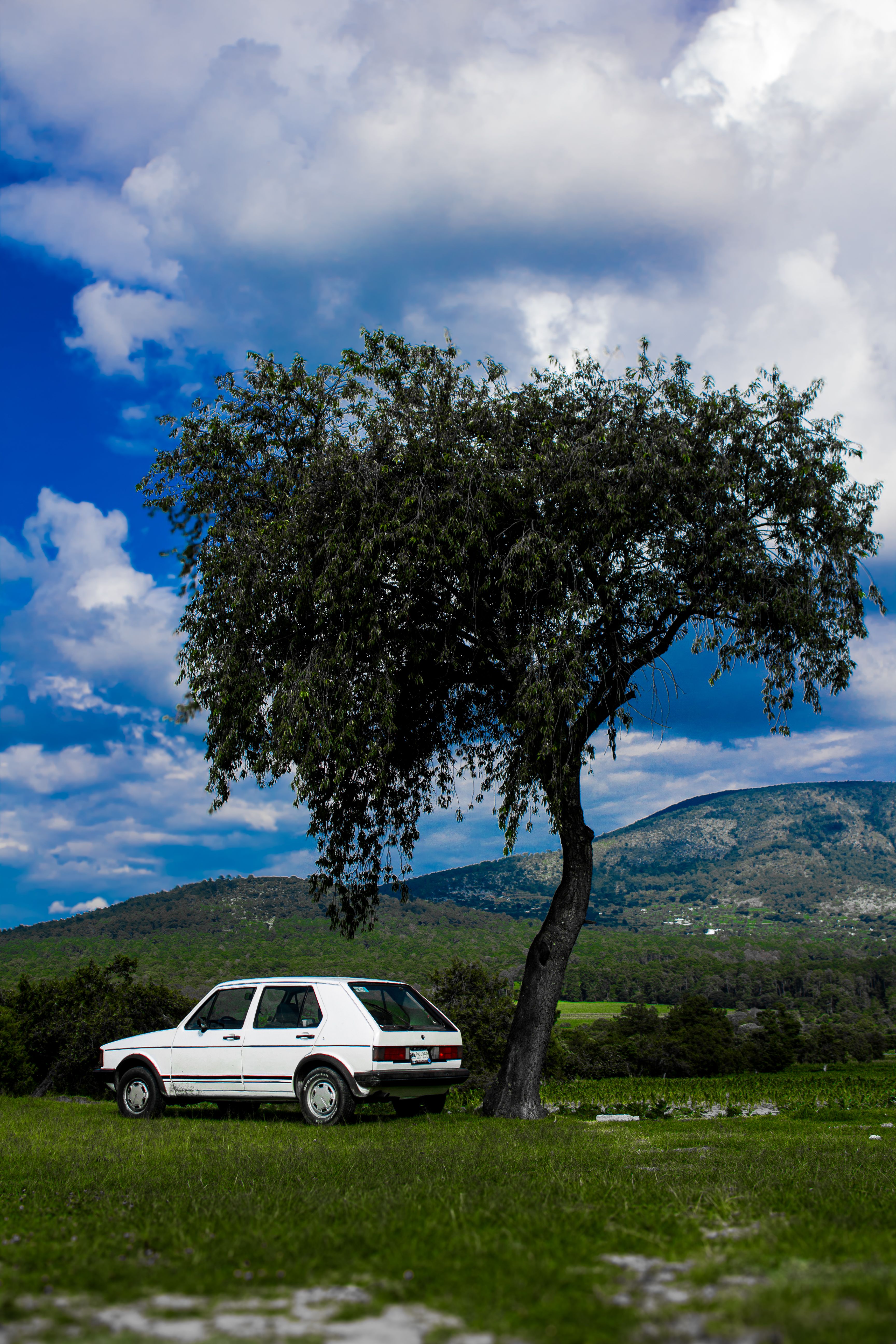Classic Car Under Tree in Scenic Mexico Landscape · Free Stock Photo