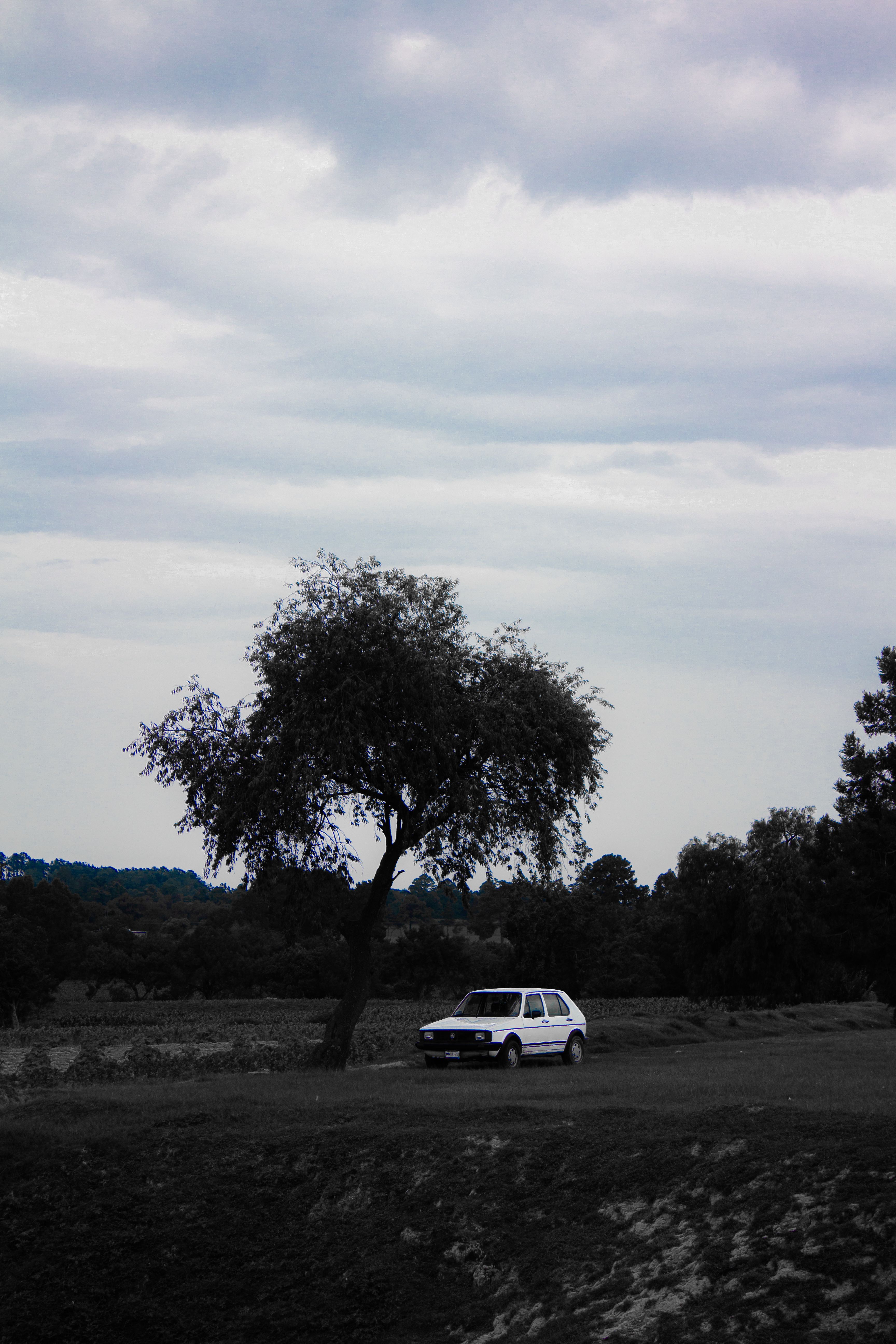 Vintage Car Under Tree in Mexican Landscape · Free Stock Photo