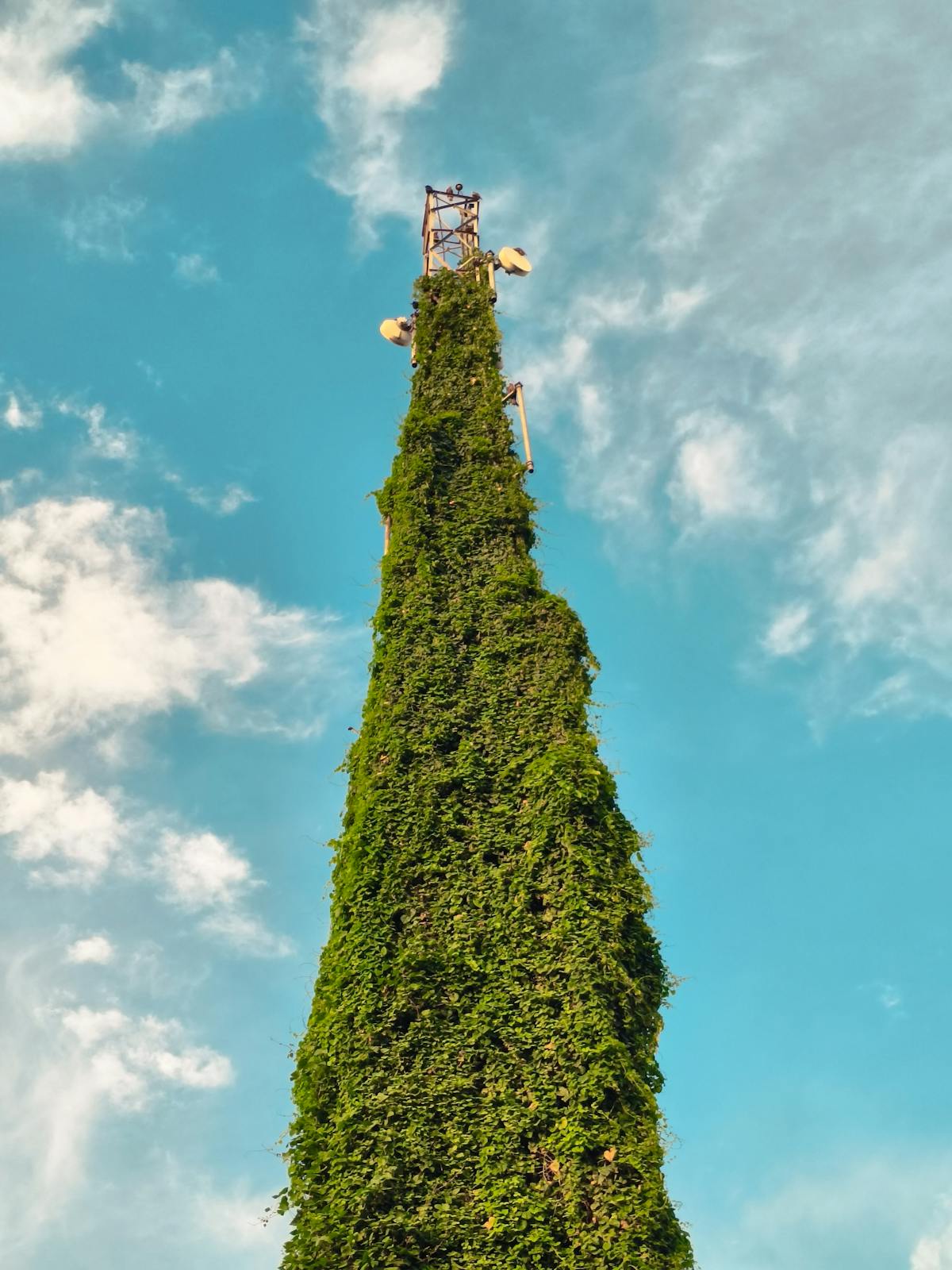 Cell Tower Photos, Download The BEST Free Cell Tower Stock Photos & HD ...