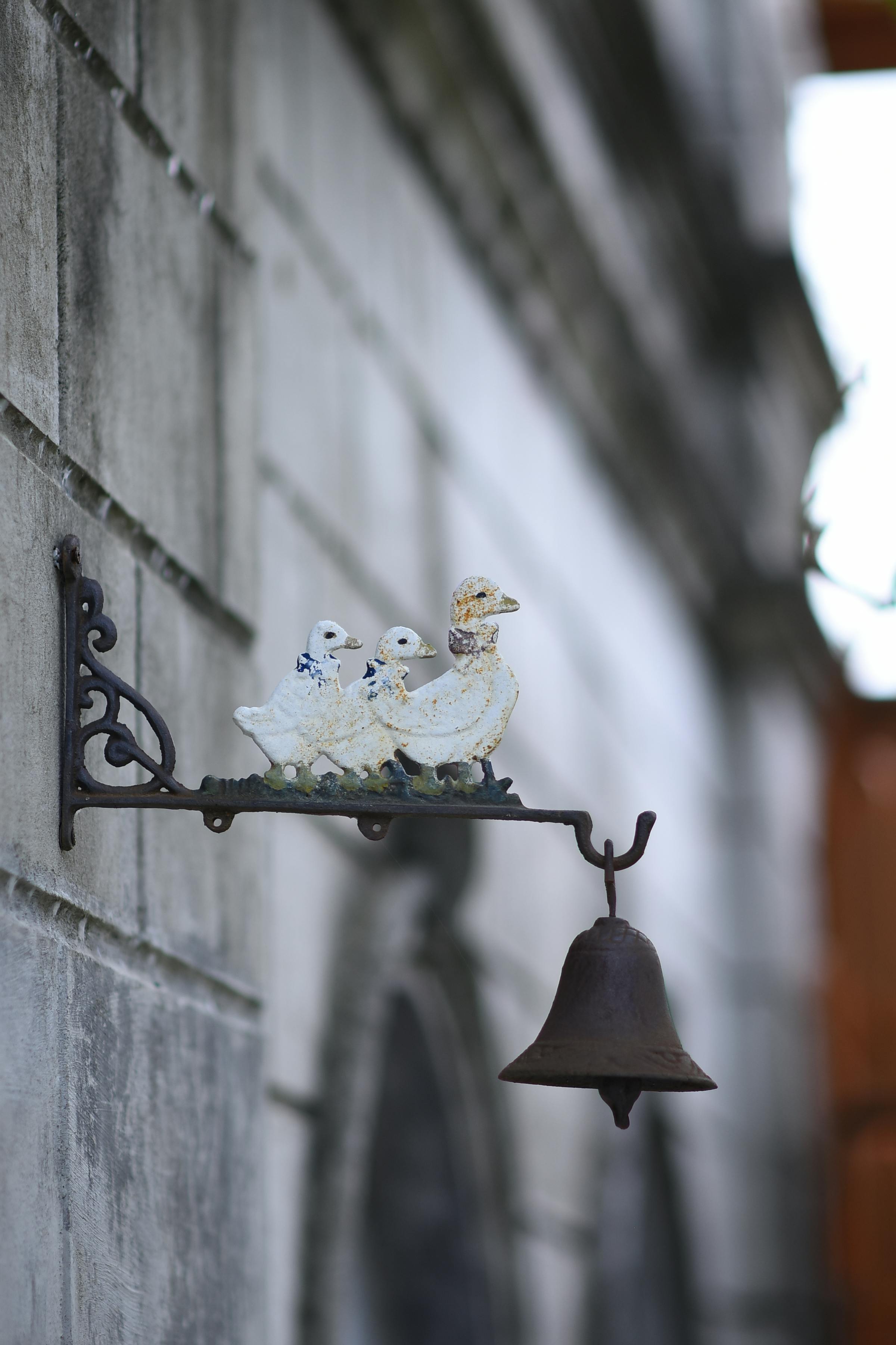 Bell Photos, Download The BEST Free Bell Stock Photos & HD Images