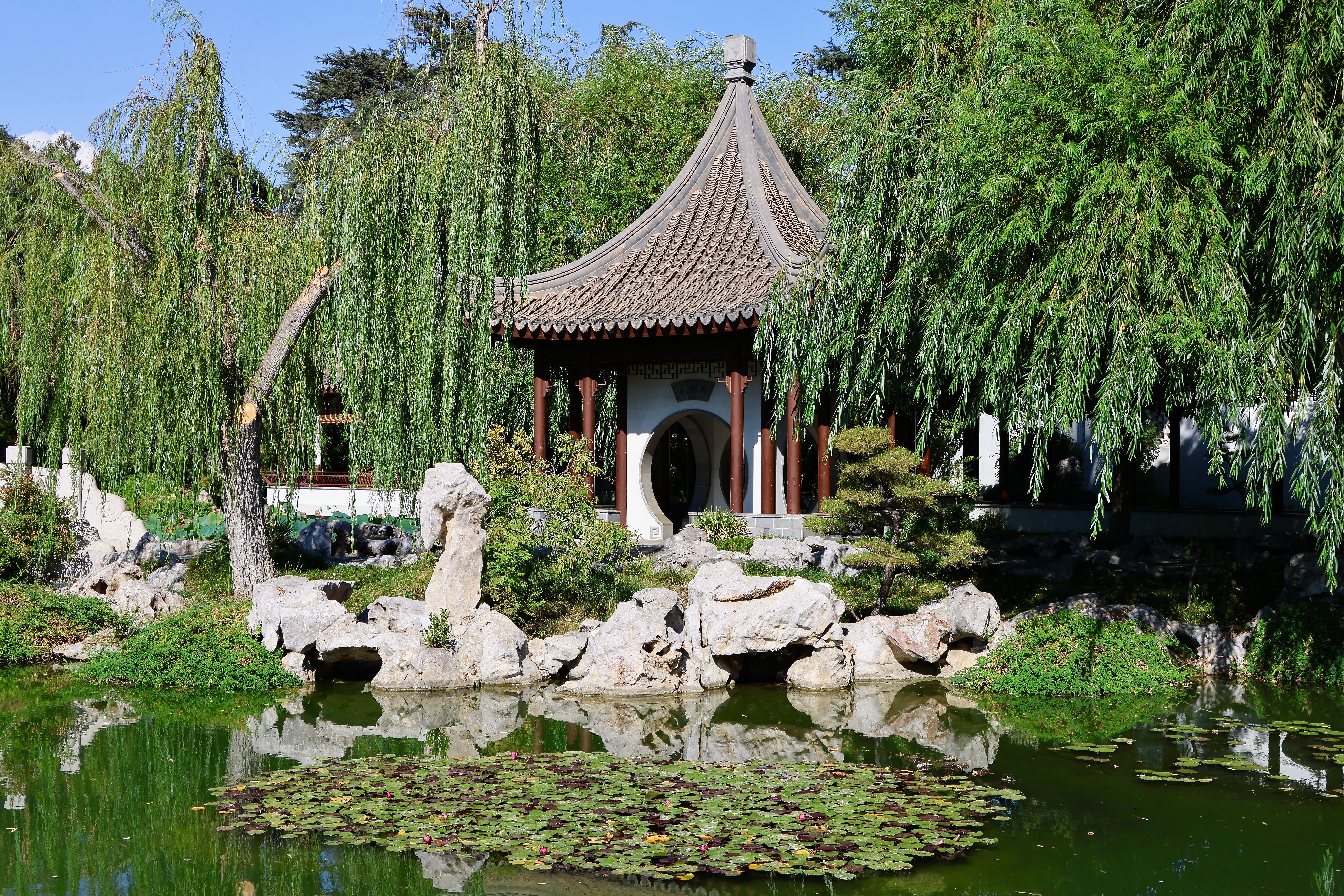 Botanical Garden Photos, Download The BEST Free Botanical Garden Stock ...