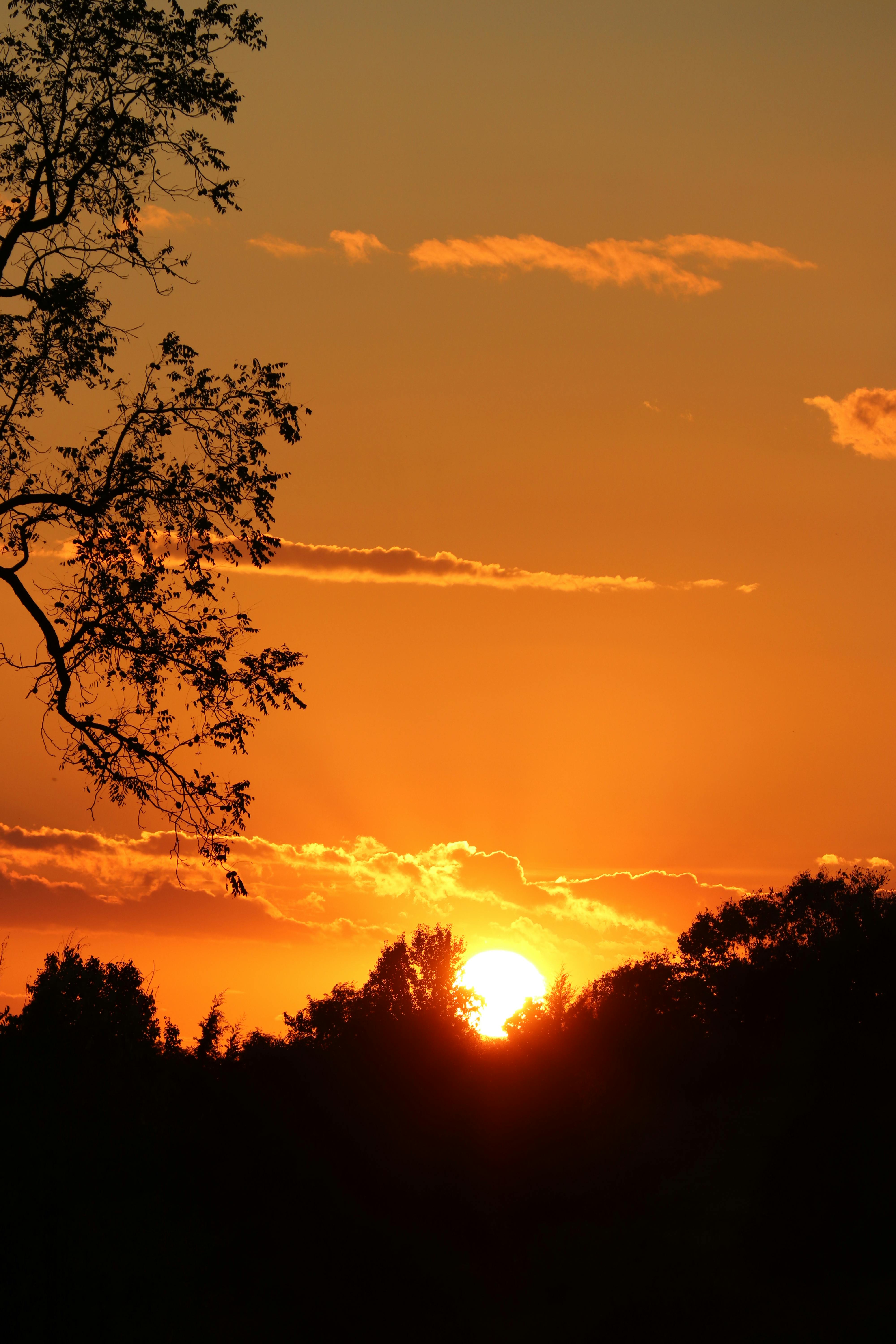 Sunset Colors: Photos, Download The BEST Free Sunset Colors: Stock ...