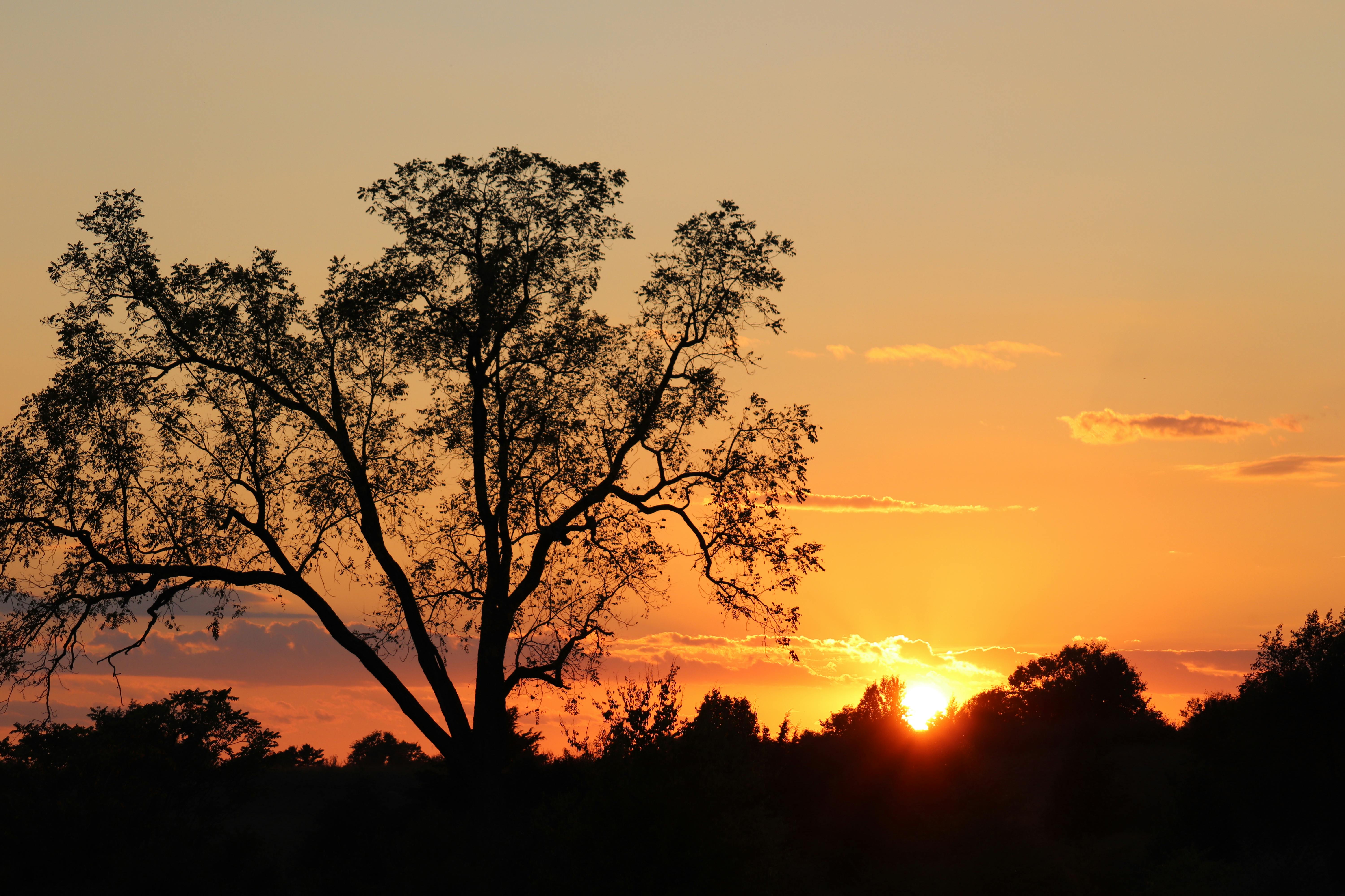 Beautiful Sunsets Photos, Download The BEST Free Beautiful Sunsets ...